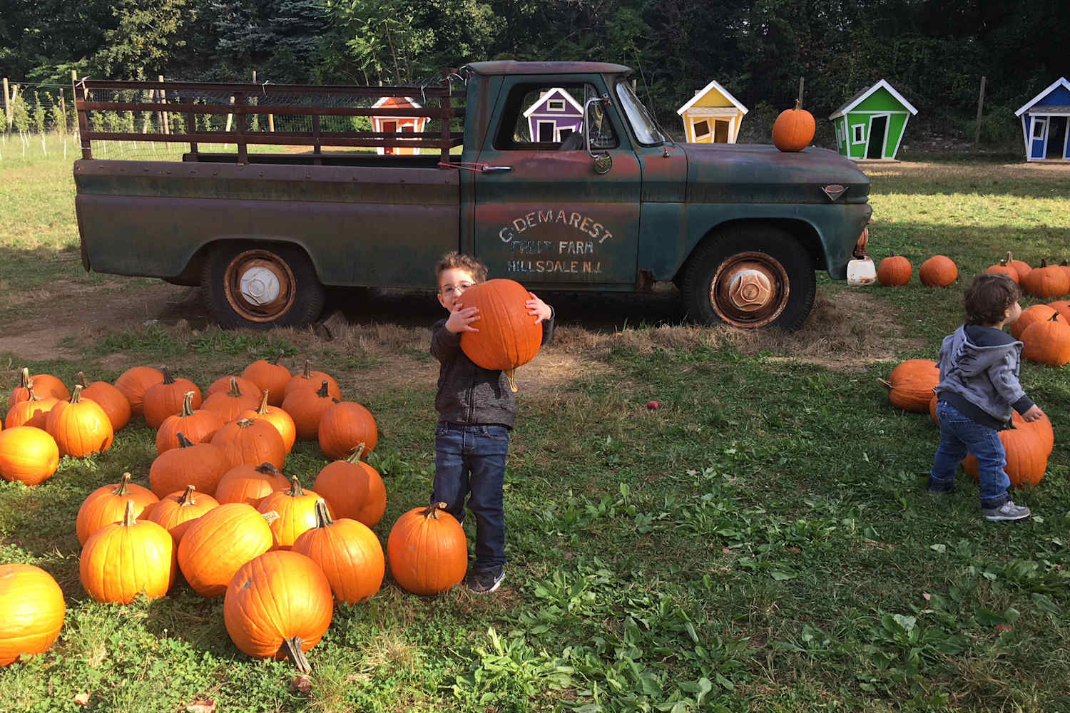 The Best Time to Go to the Pumpkin Patch with Kids | The Kitchn