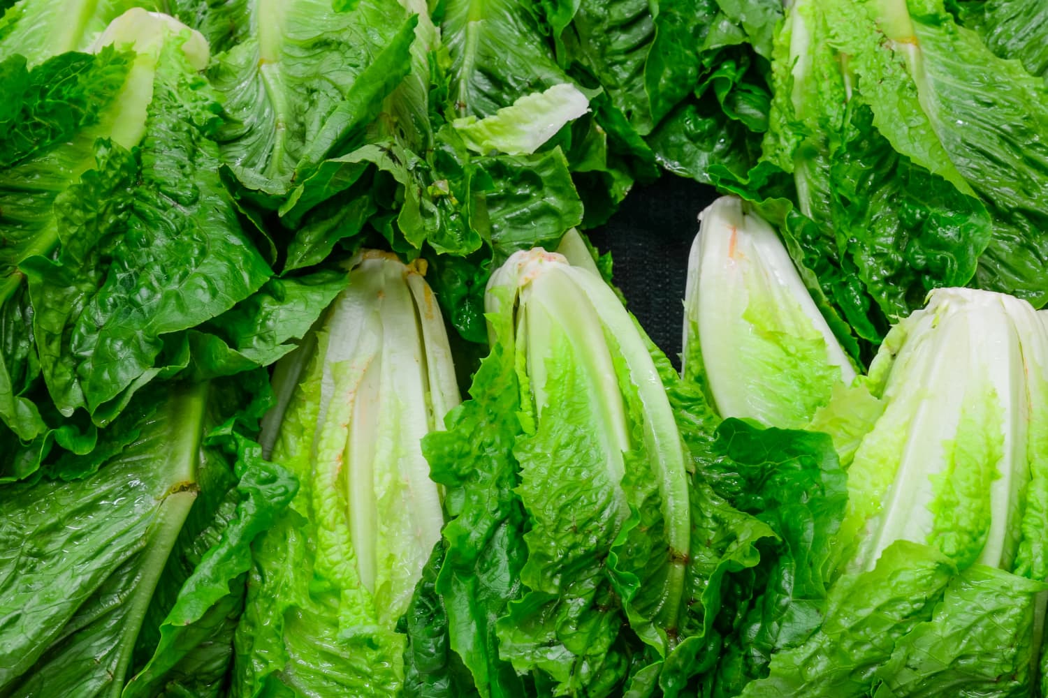 Romaine Lettuce Might Be Linked to an E. coli Outbreak | The Kitchn