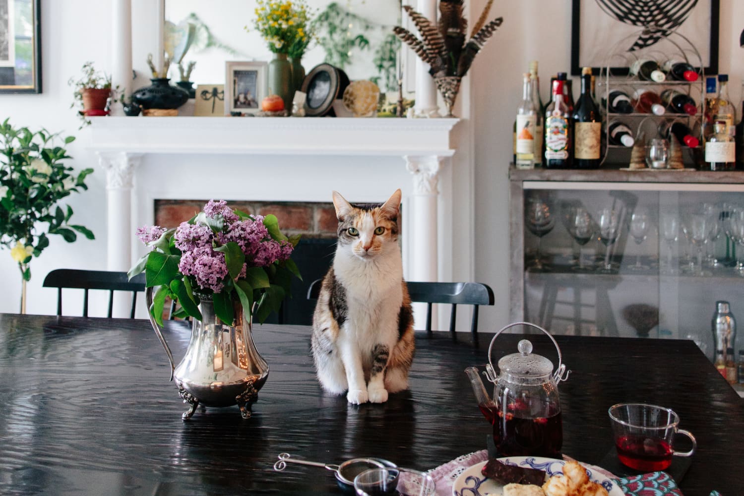 11 Things Every New Cat Owner Should Know | The Kitchn