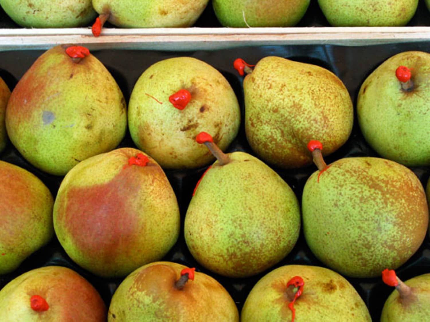 Look! Wax-Dipped Pears in France | Kitchn