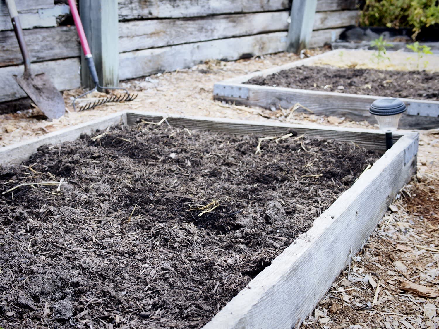The Secret to Success: It’s All About the Soil | Apartment Therapy