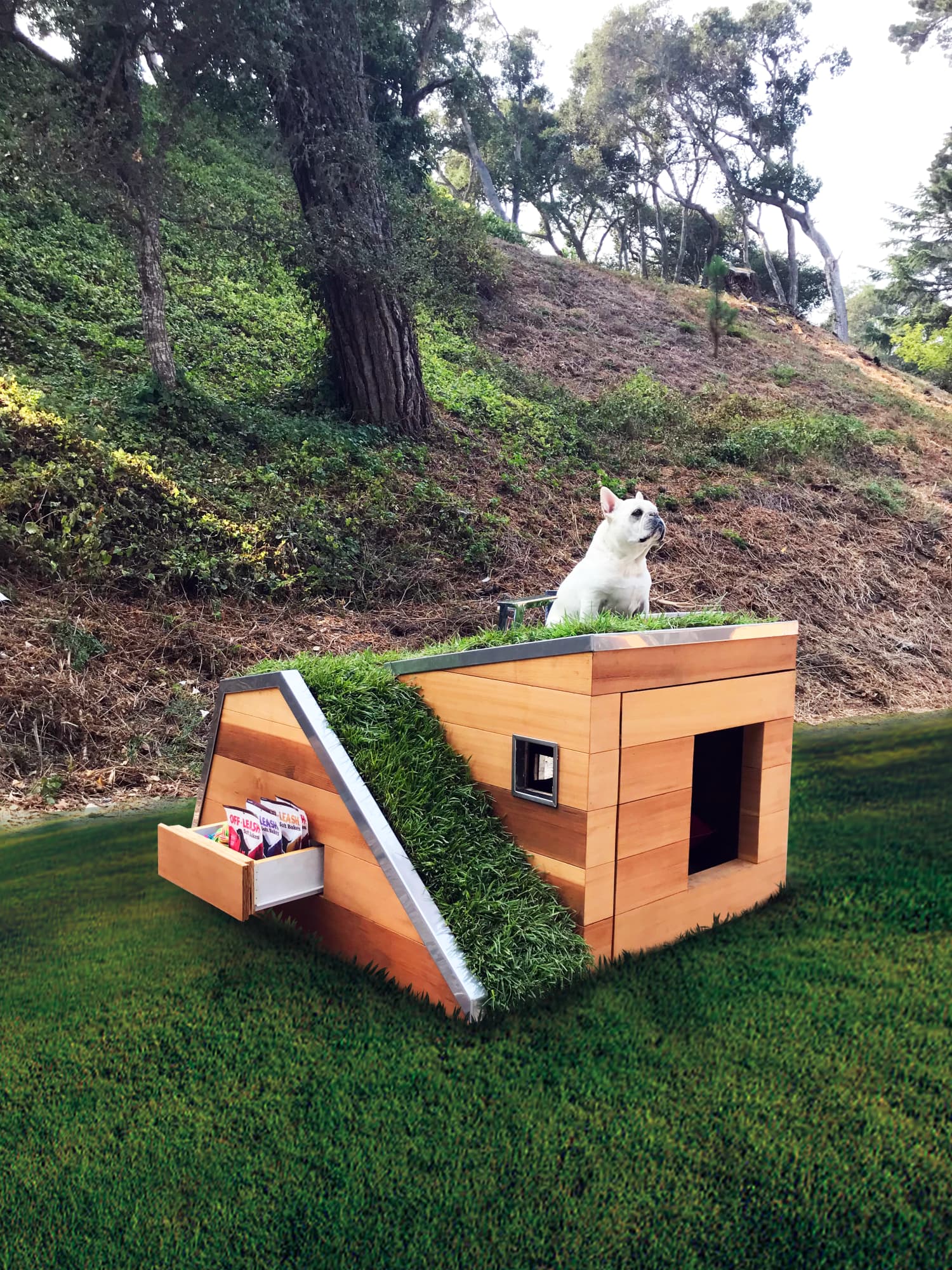 Fancy Dog House - Sustainable Architecture | Apartment Therapy