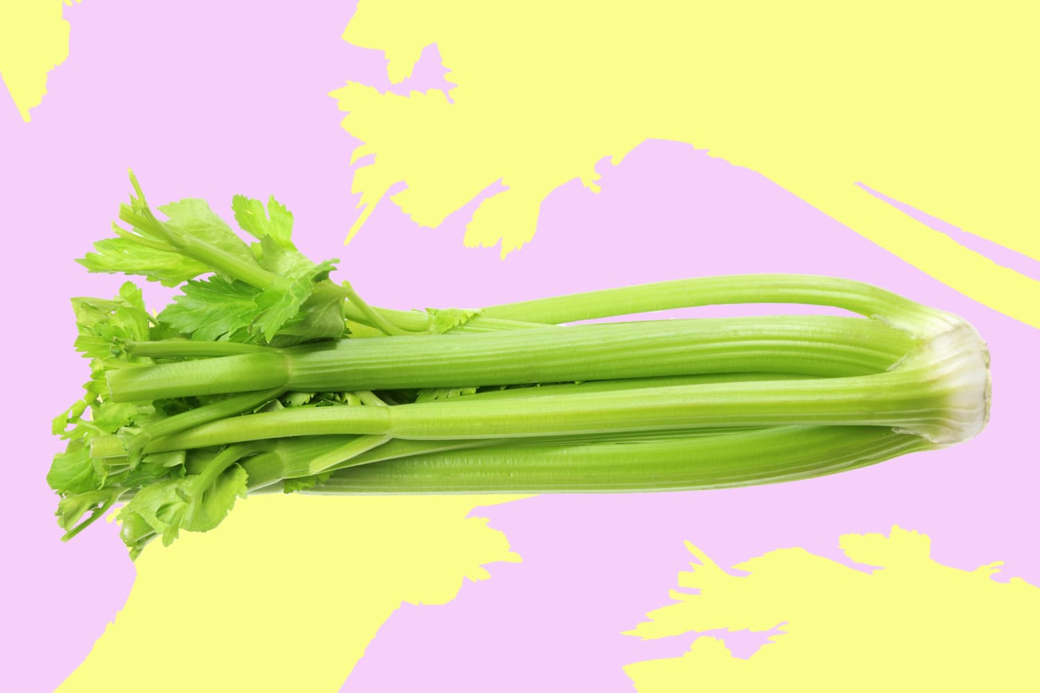 6 Ways to Make Celery More Exciting | Kitchn 6 Ways to Make Celery More Exciting | Kitchn