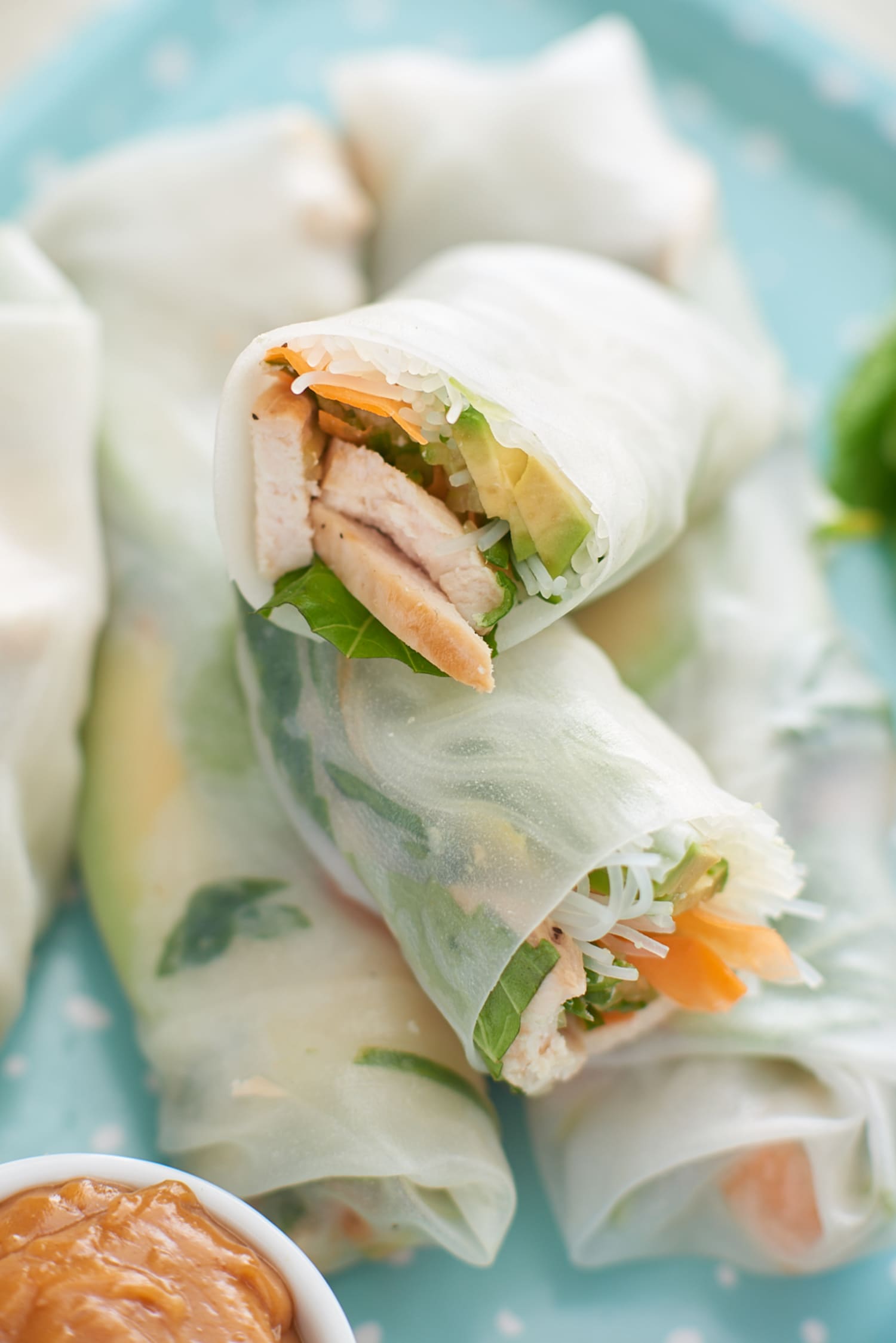 Chicken Summer Rolls with Peanut Dipping Sauce | Kitchn