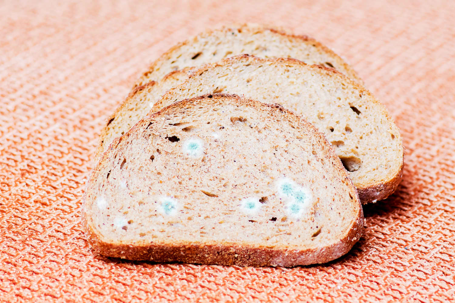 Can You Eat Moldy Bread Kitchn Can You Eat Moldy Bread Kitchn