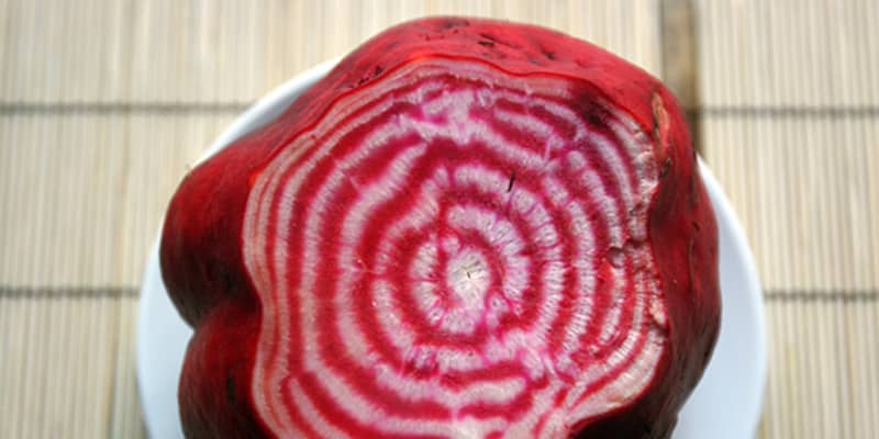 white beets vegetable