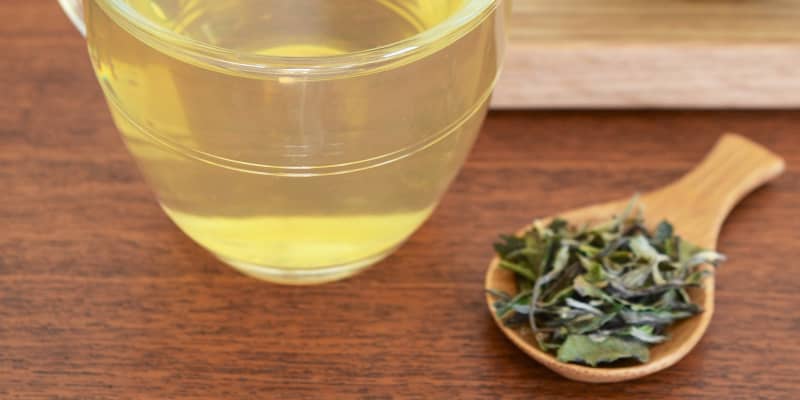 how to boil white tea