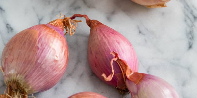 difference between shallots and onions