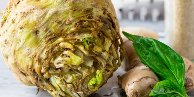 does celery root come from celery
