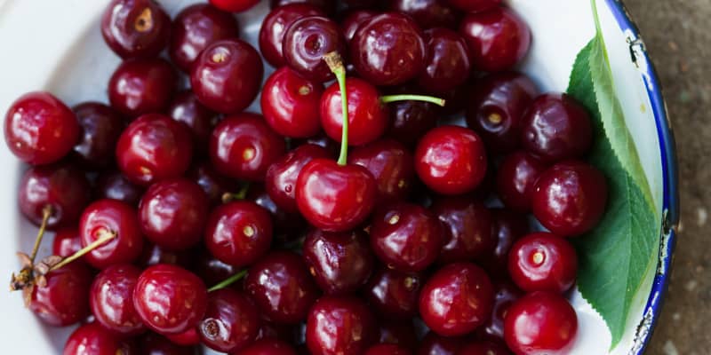 sour cherry name