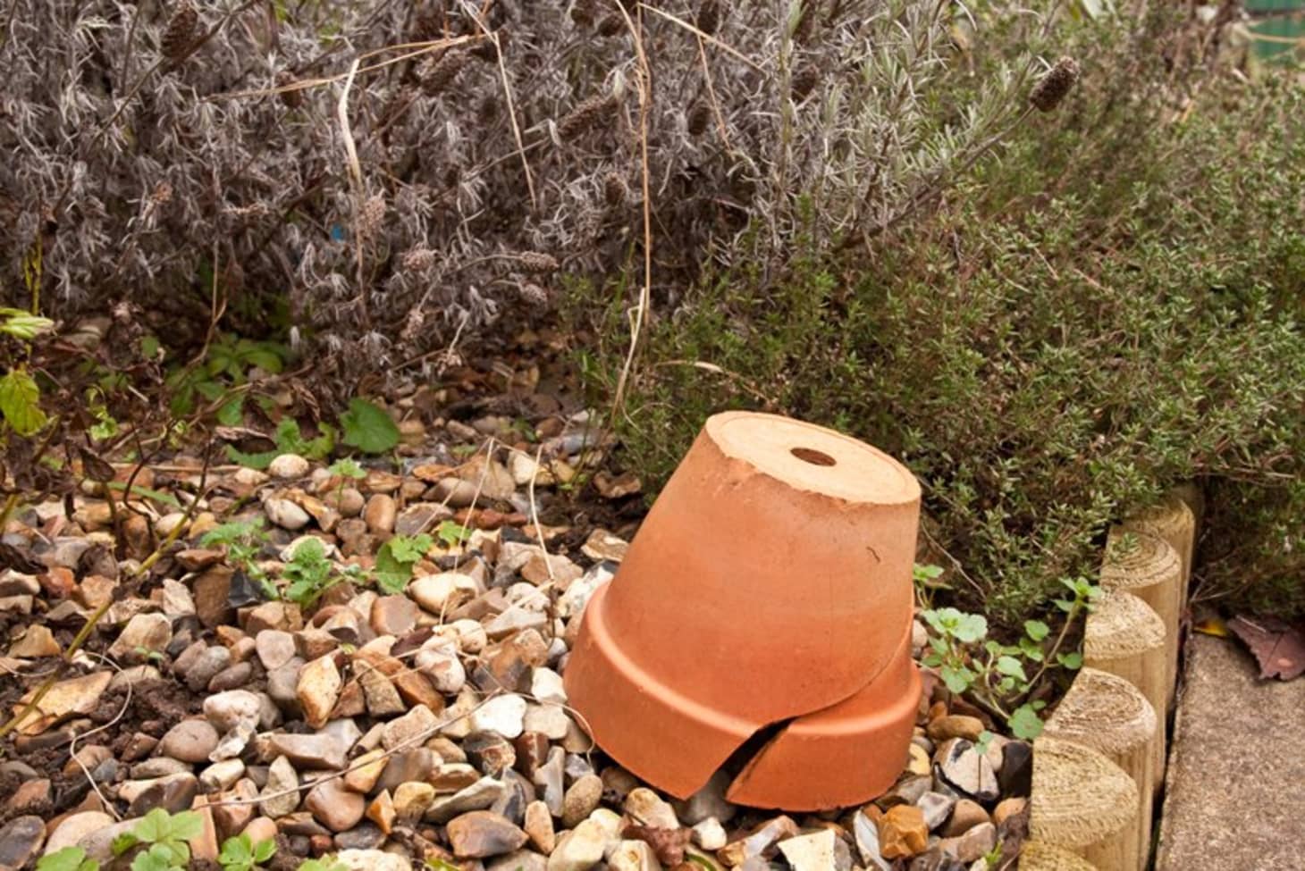 Don’t Throw It Away! 3 Things You Can Do With Your Broken Pots and ...