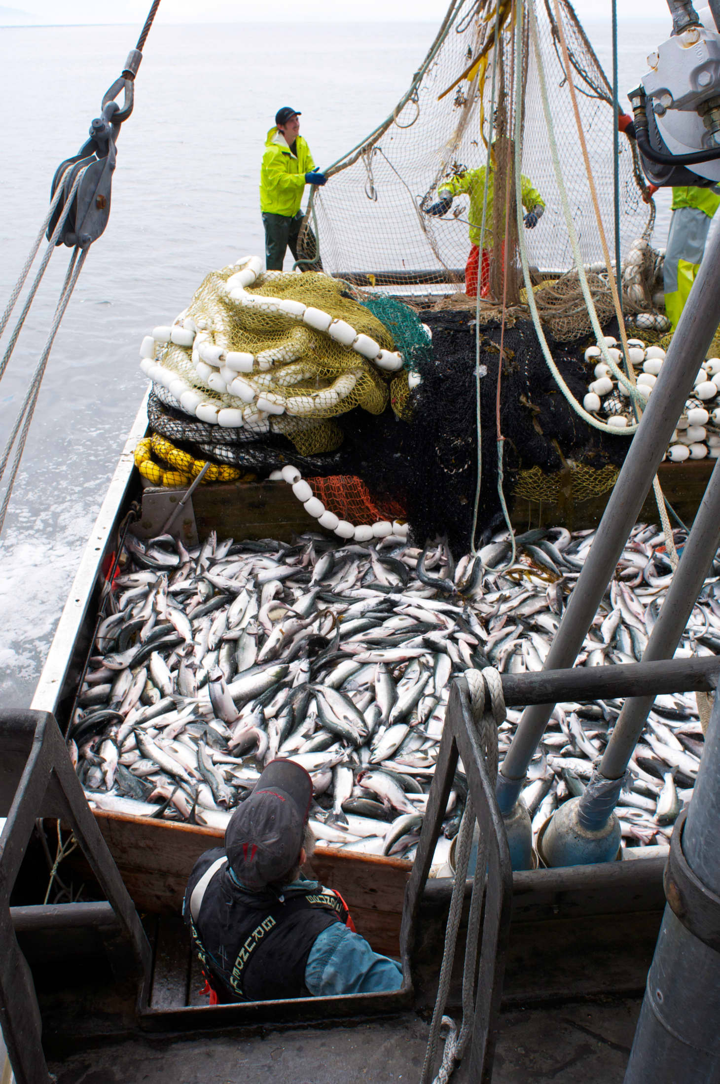 One Way to Catch Salmon In Alaska: Onboard the Purse Seine Owyhee | Kitchn