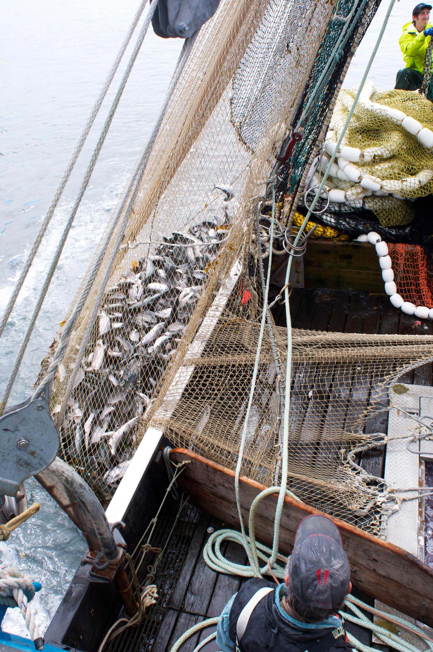 One Way to Catch Salmon In Alaska: Onboard the Purse Seine Owyhee | Kitchn