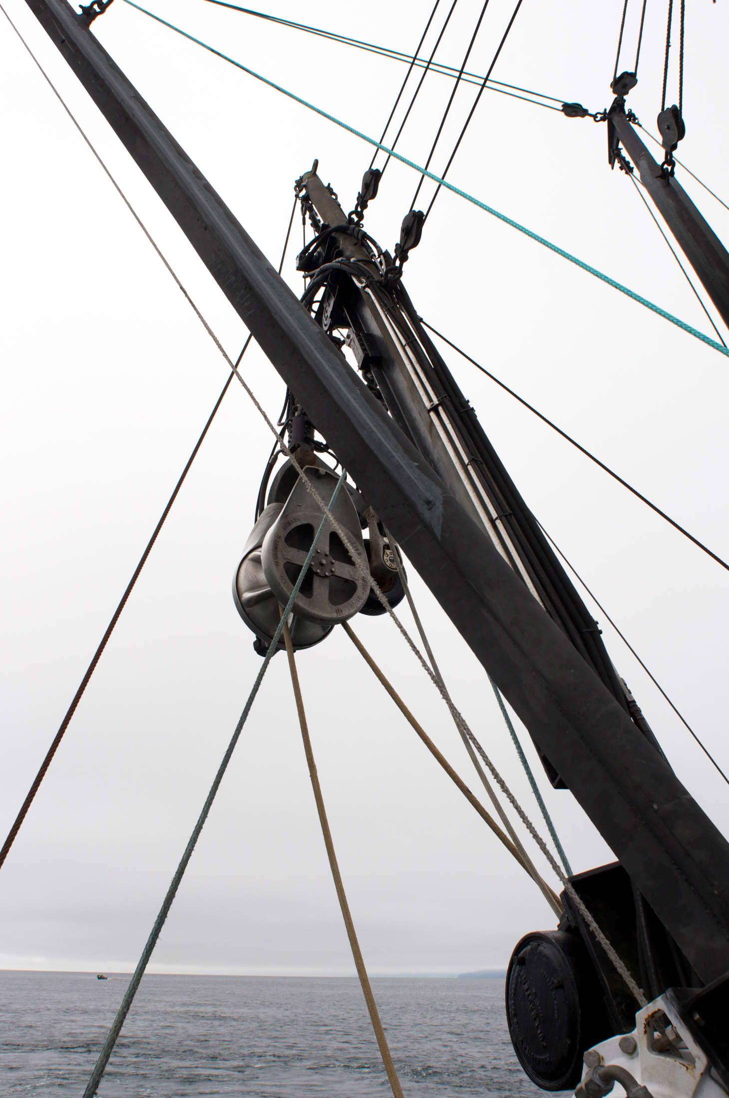 One Way to Catch Salmon In Alaska: Onboard the Purse Seine Owyhee | Kitchn