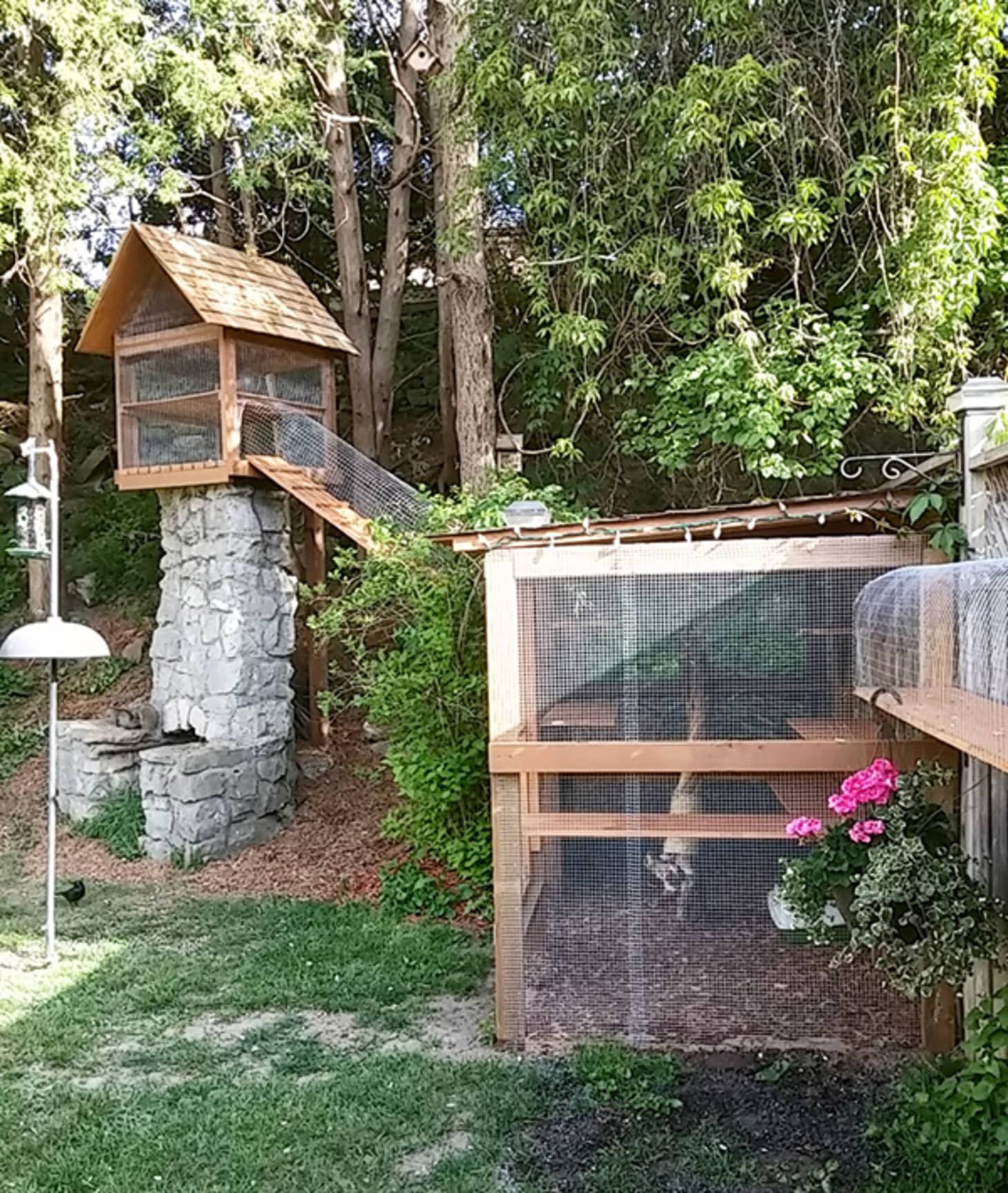 A Catio is the Coolest Thing You Never Knew Your Cat Needed | Apartment ...