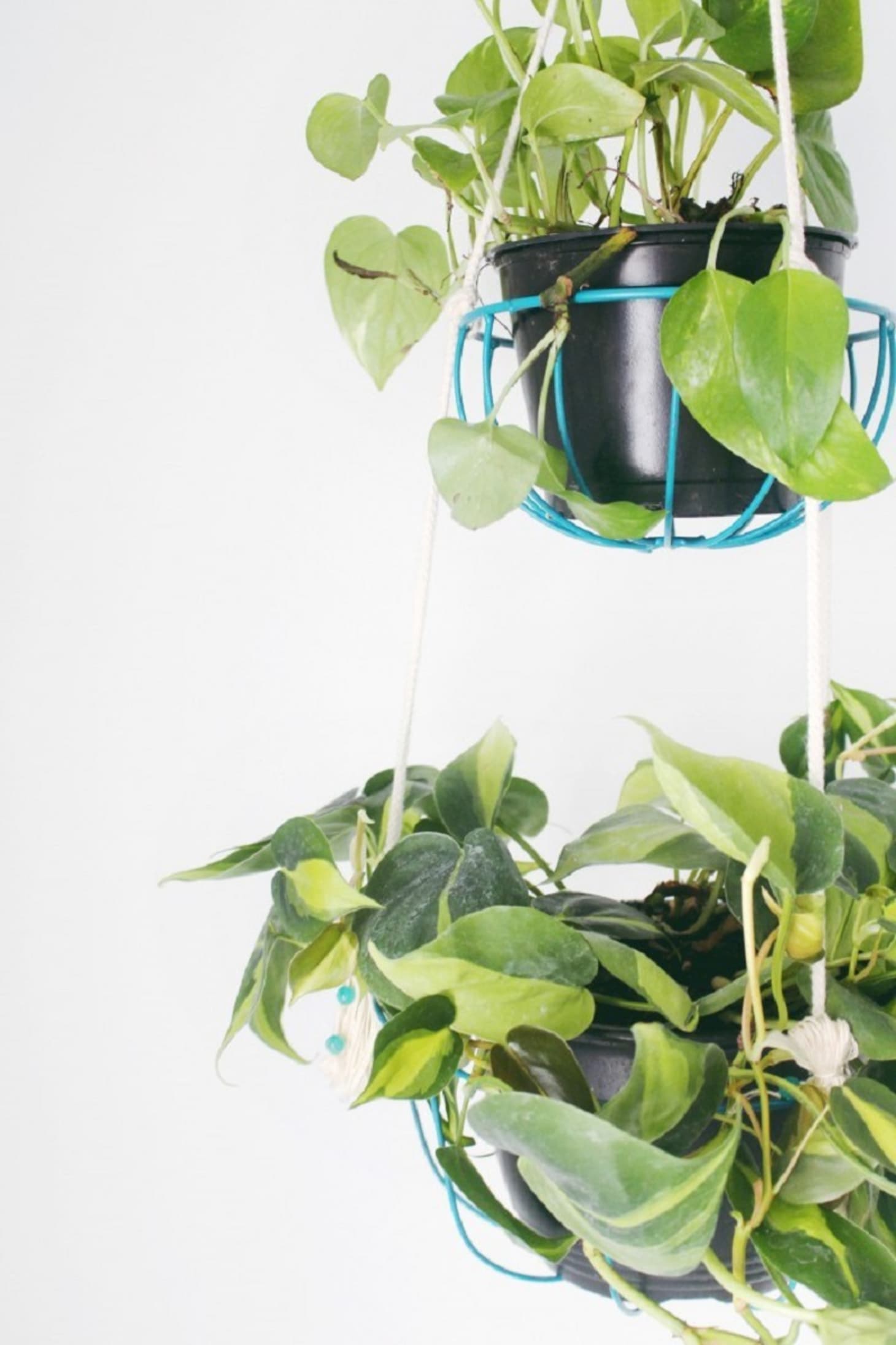 12 DIY Hanging Planters to Make | Apartment Therapy