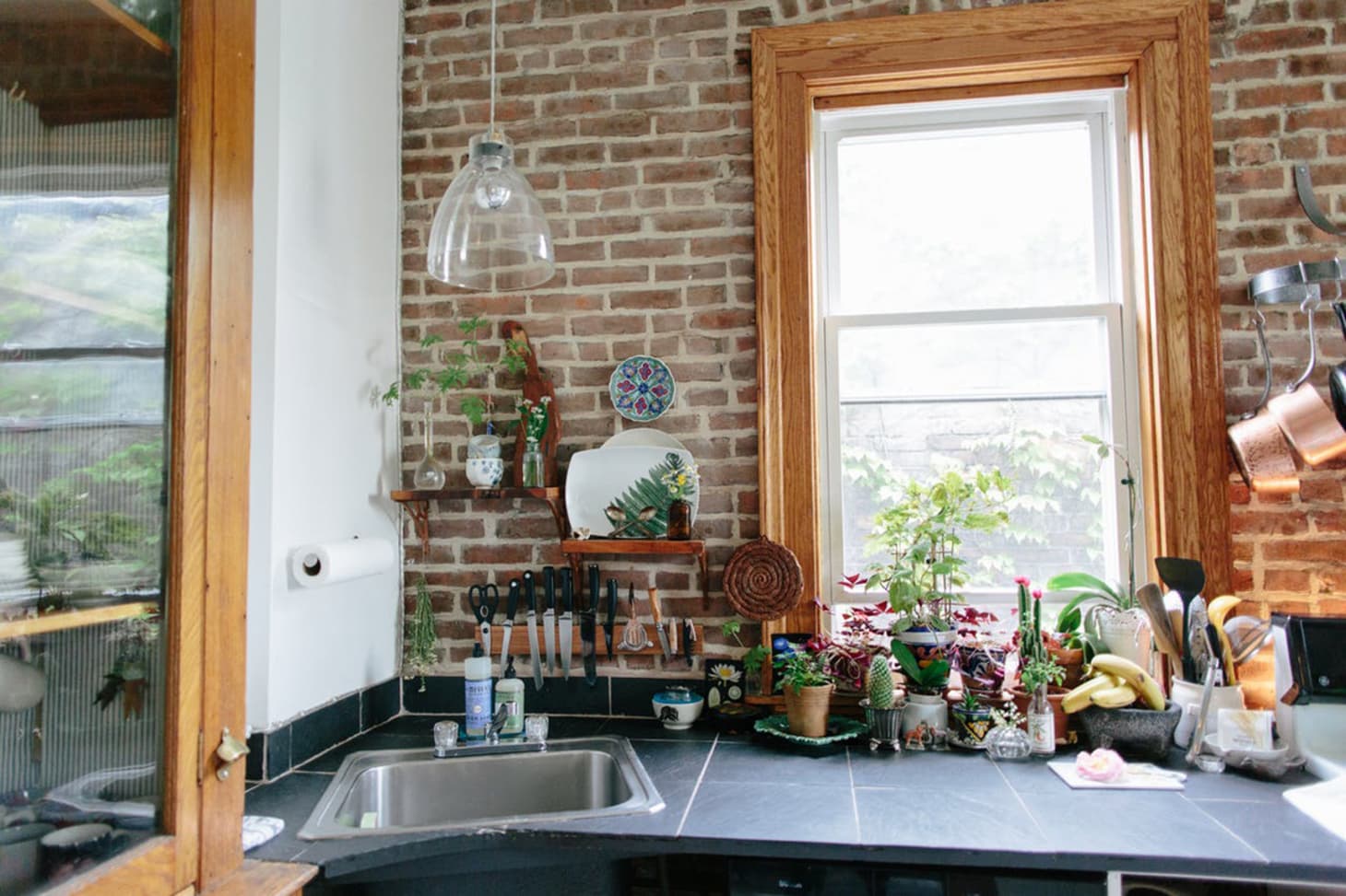 9 Inspiring Ideas for Plants in the Kitchen | Kitchn