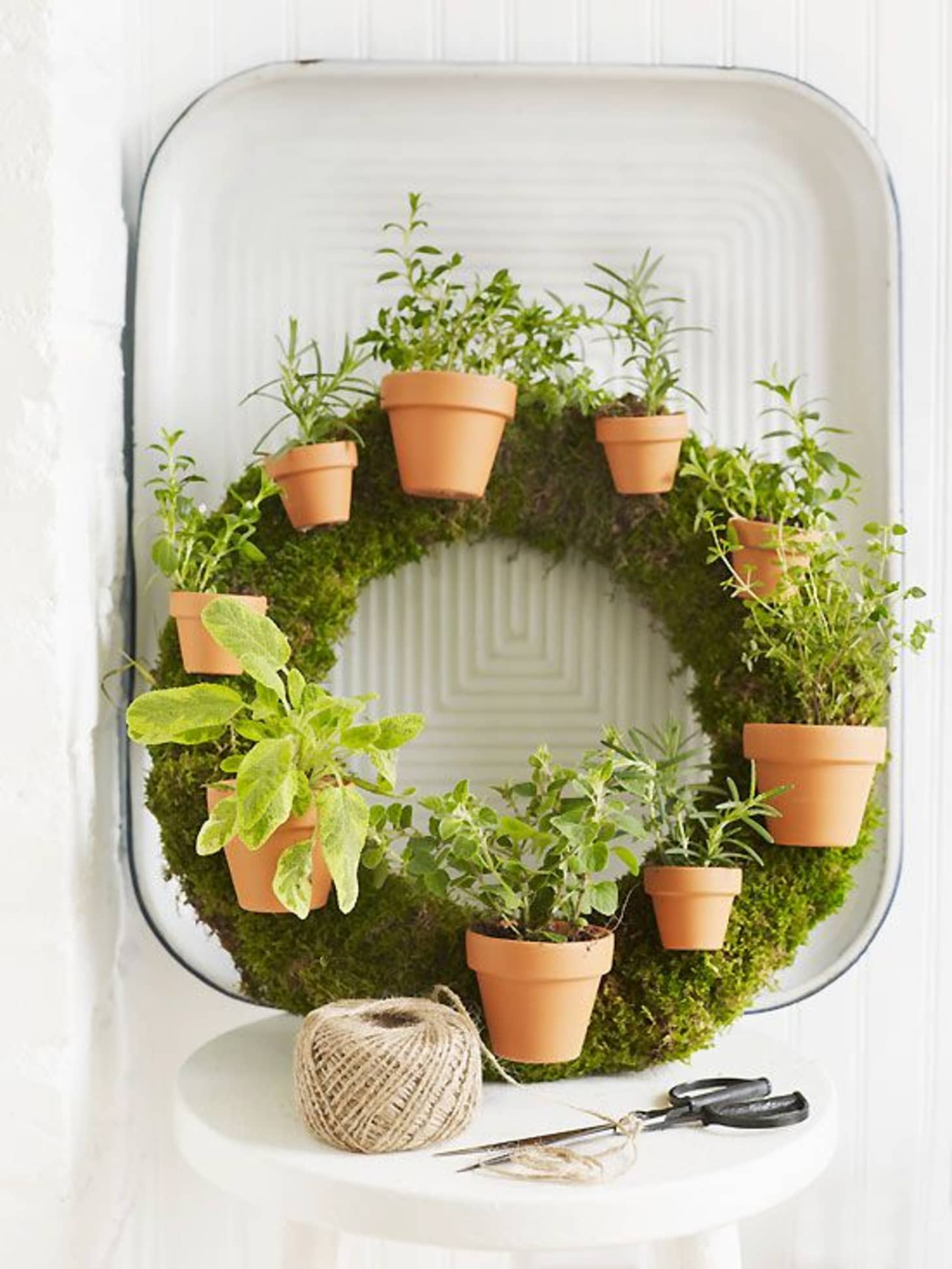 15 Indoor Garden Ideas for Wannabe Gardeners in Small Spaces ...