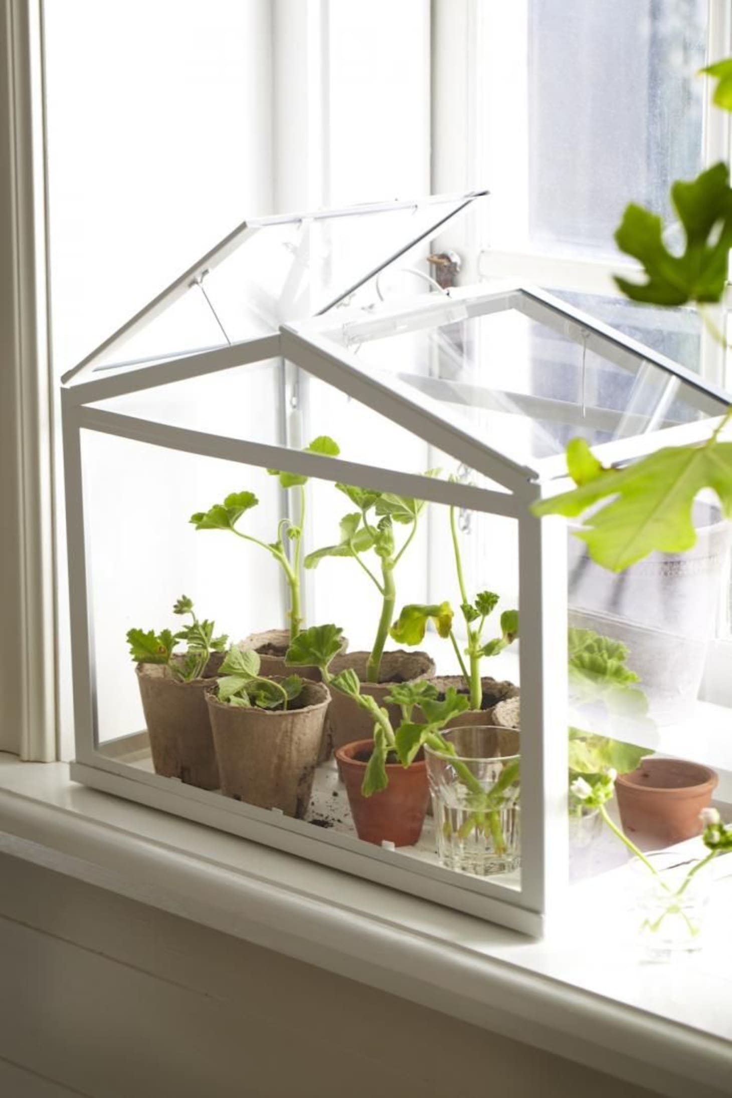 15 Indoor Garden Ideas for Wannabe Gardeners in Small Spaces ...