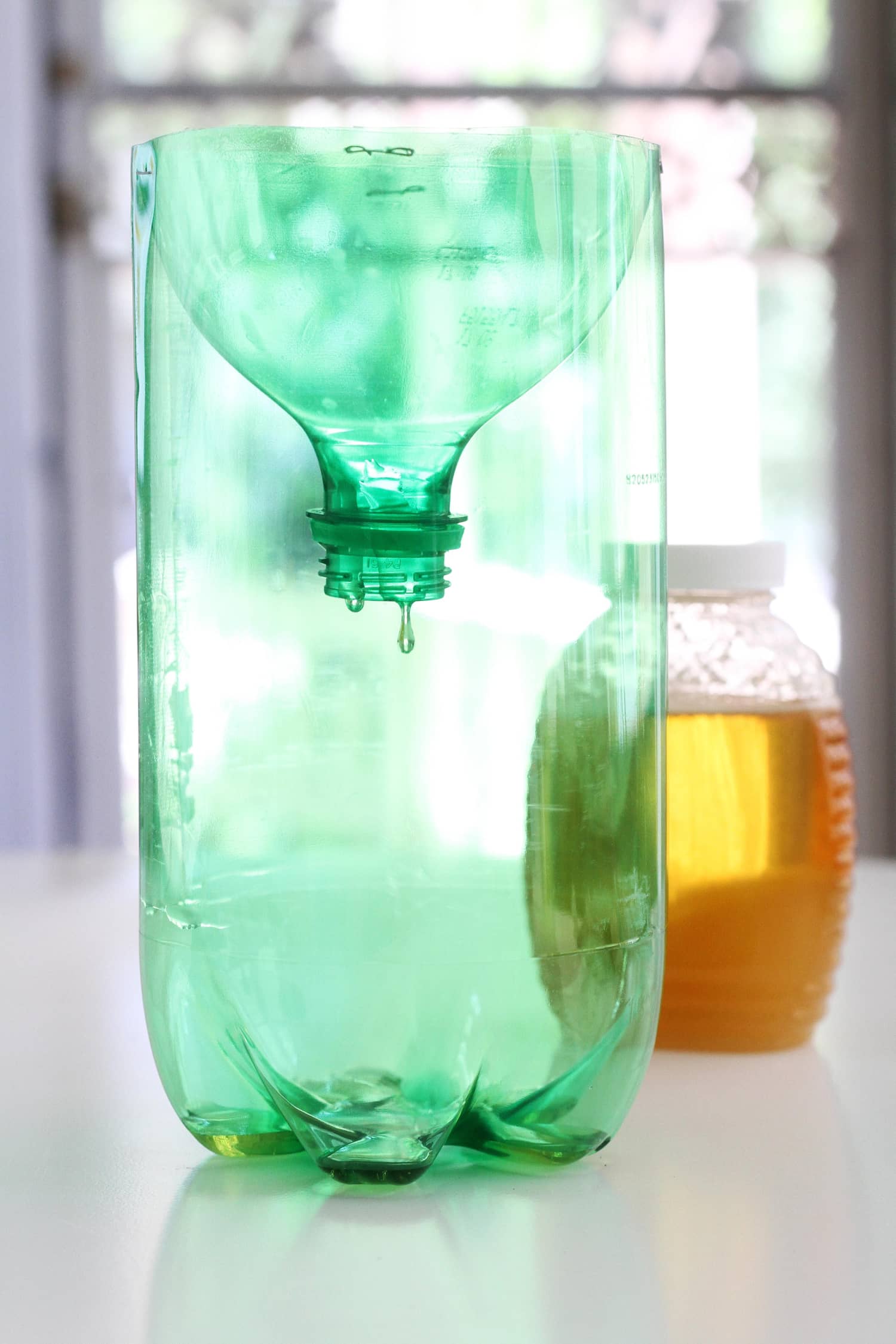How To Make A Wasp Trap From A Soda Bottle Apartment Therapy