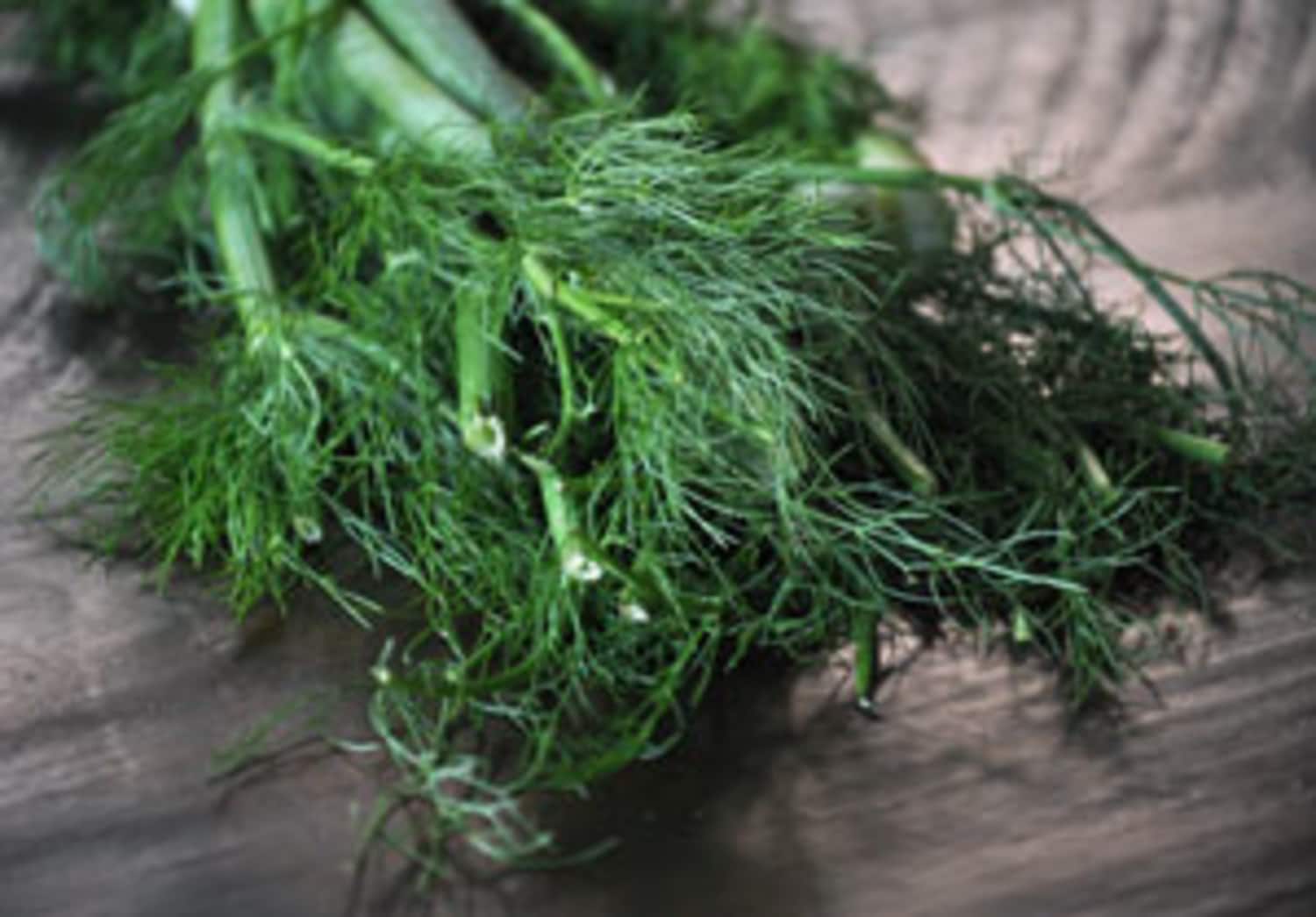 What Is Fennel, and How Do I Use It? | Kitchn