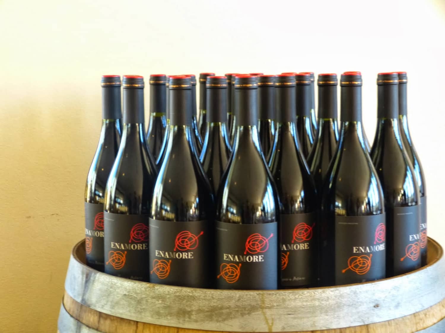 Enamore: Budget-Friendly Amarone-Style Wine from Argentina | Kitchn