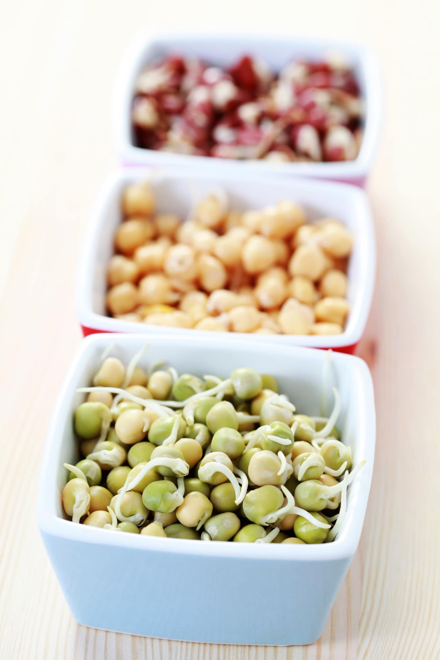 Sprouting Beyond Grains: Yes, You Can Sprout Nuts, Seeds & Beans | Kitchn