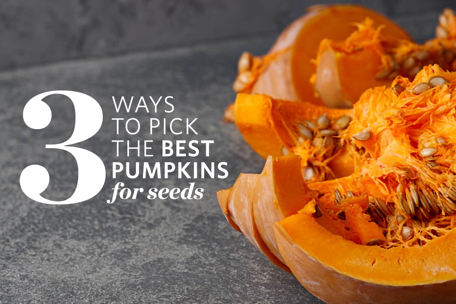 3 Ways to Pick the Best Pumpkins for Roasting Seeds | Kitchn