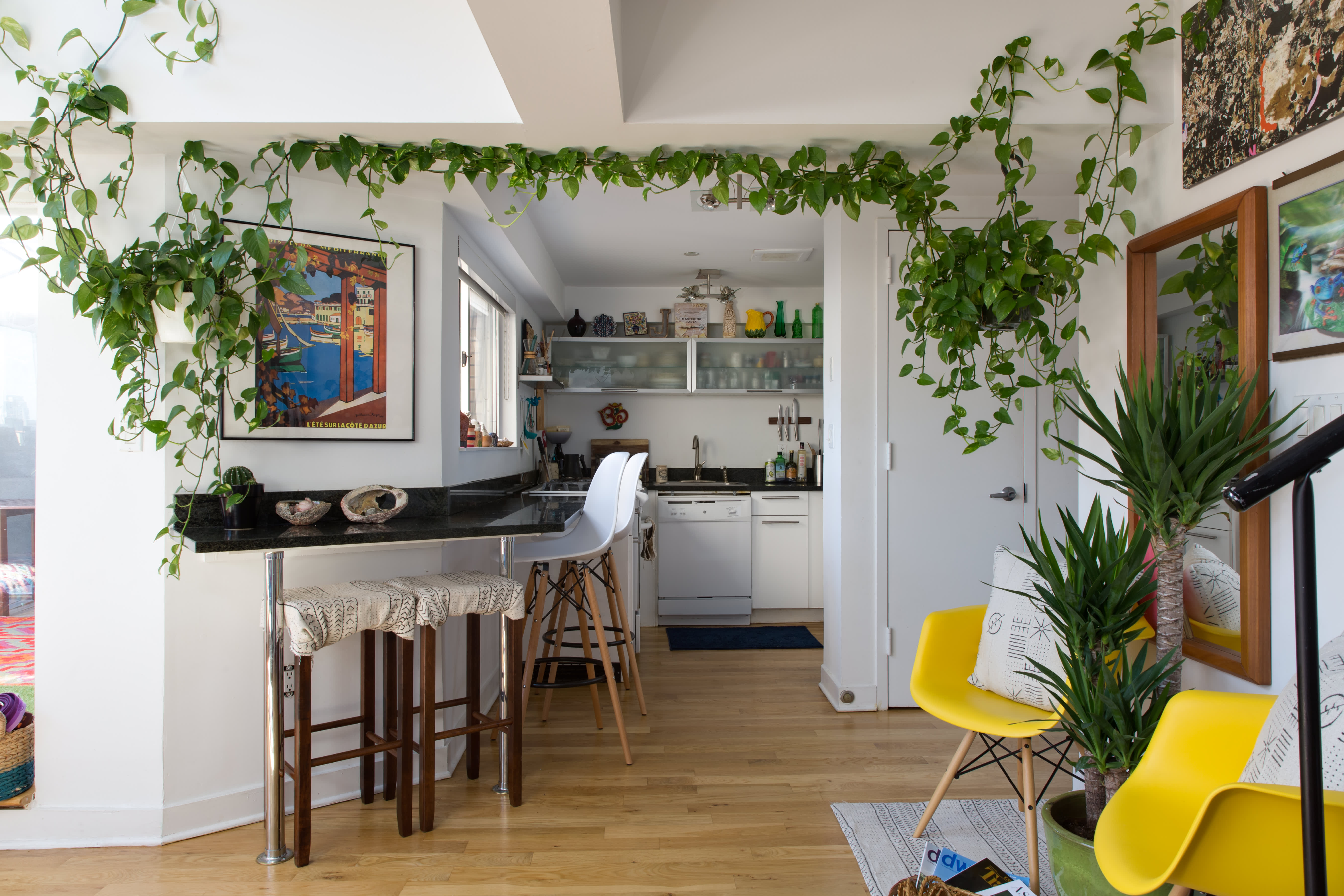 House Tour: A Sunny, Plant-Filled Manhattan Loft | Apartment Therapy