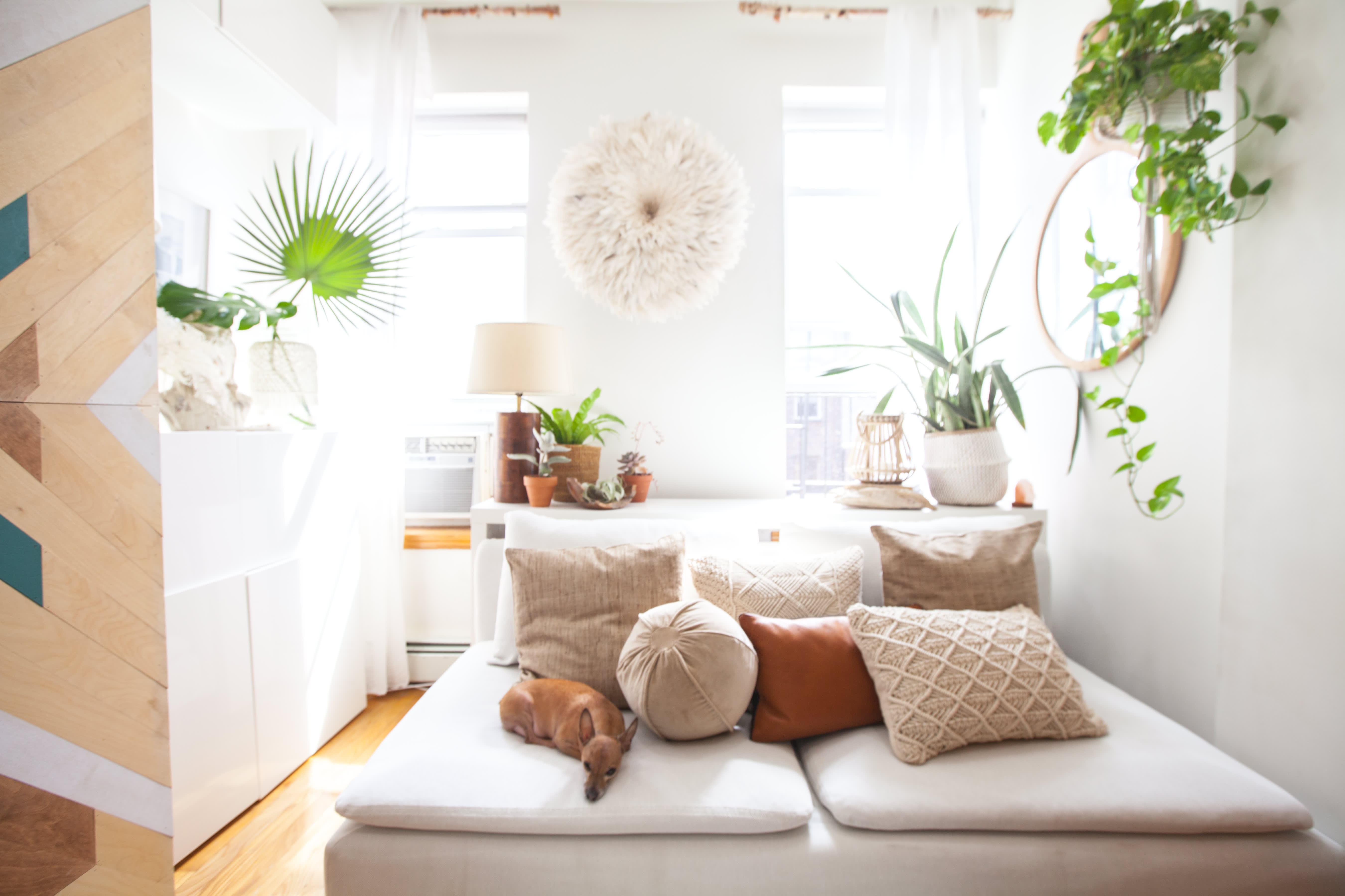 NYC Studio Tour: An Organized 280-Square-Foot Rental | Apartment Therapy