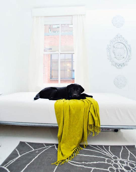 125 Square Feet! Kristen’s Minimalist Studio in Seattle | Apartment Therapy