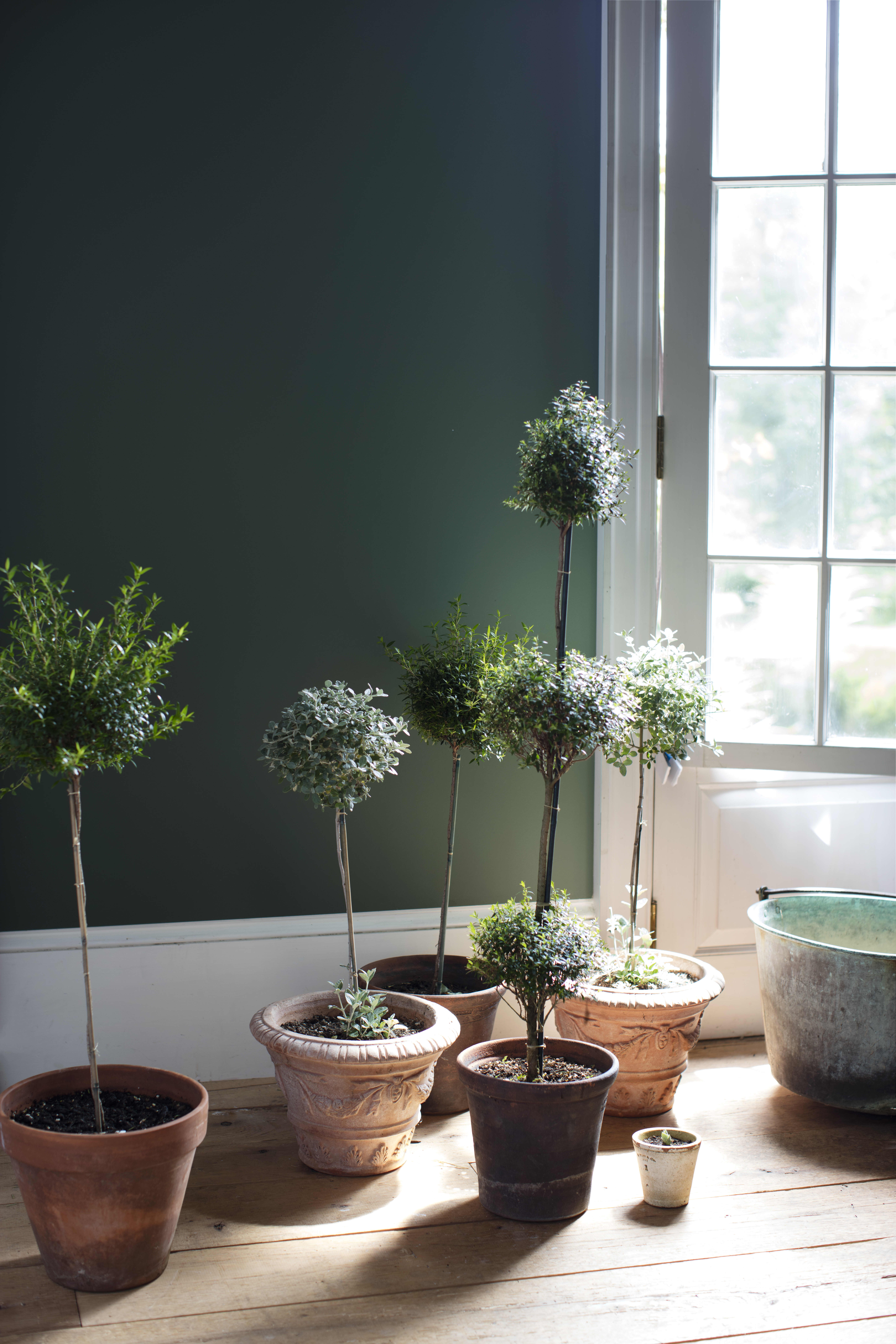 Benjamin Moore’s New Luxe Paint Line Is What Designers Have Been ...