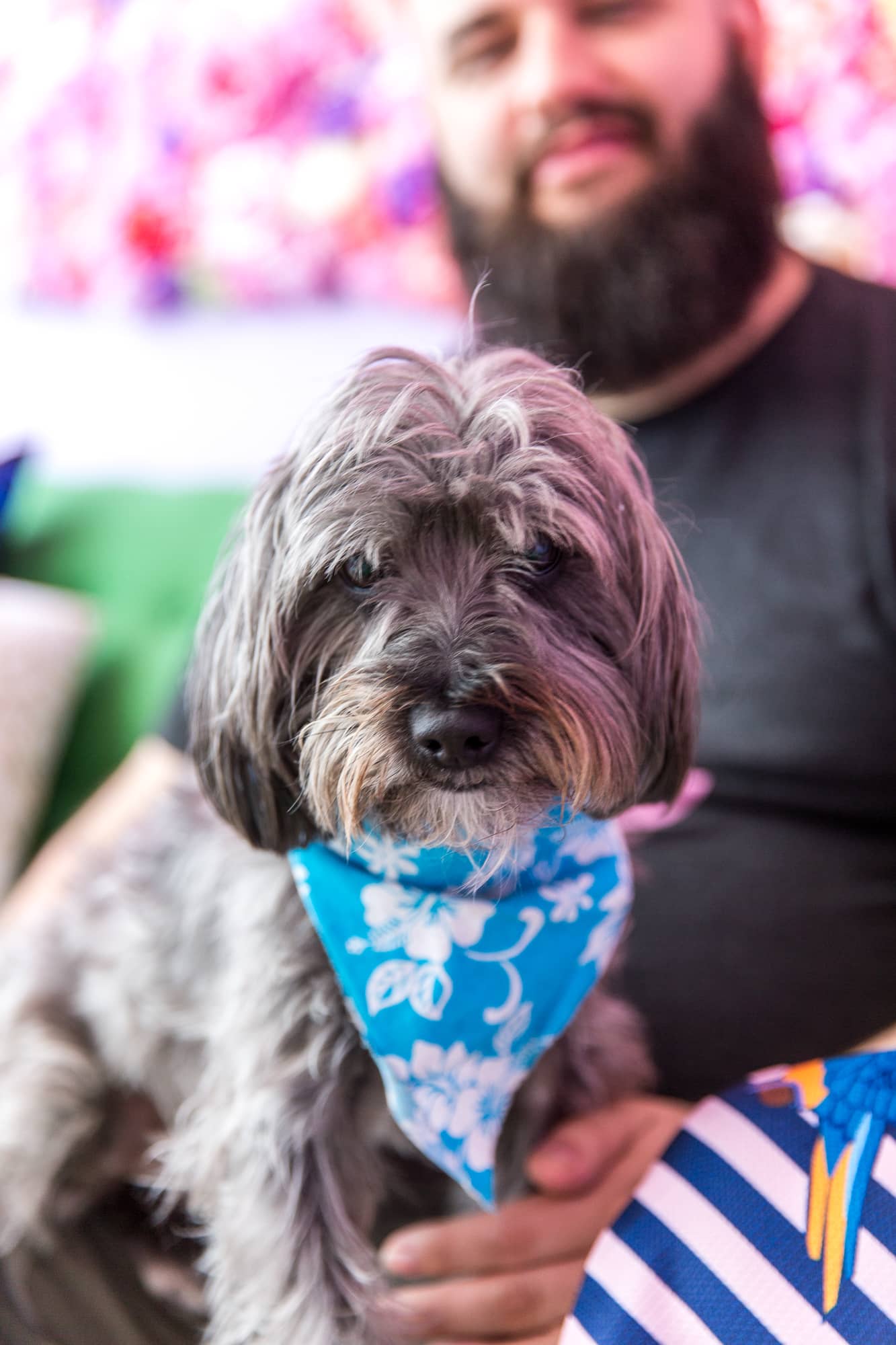 House Tour: Studio Mucci, The Most Colorful Apartment in the World ...