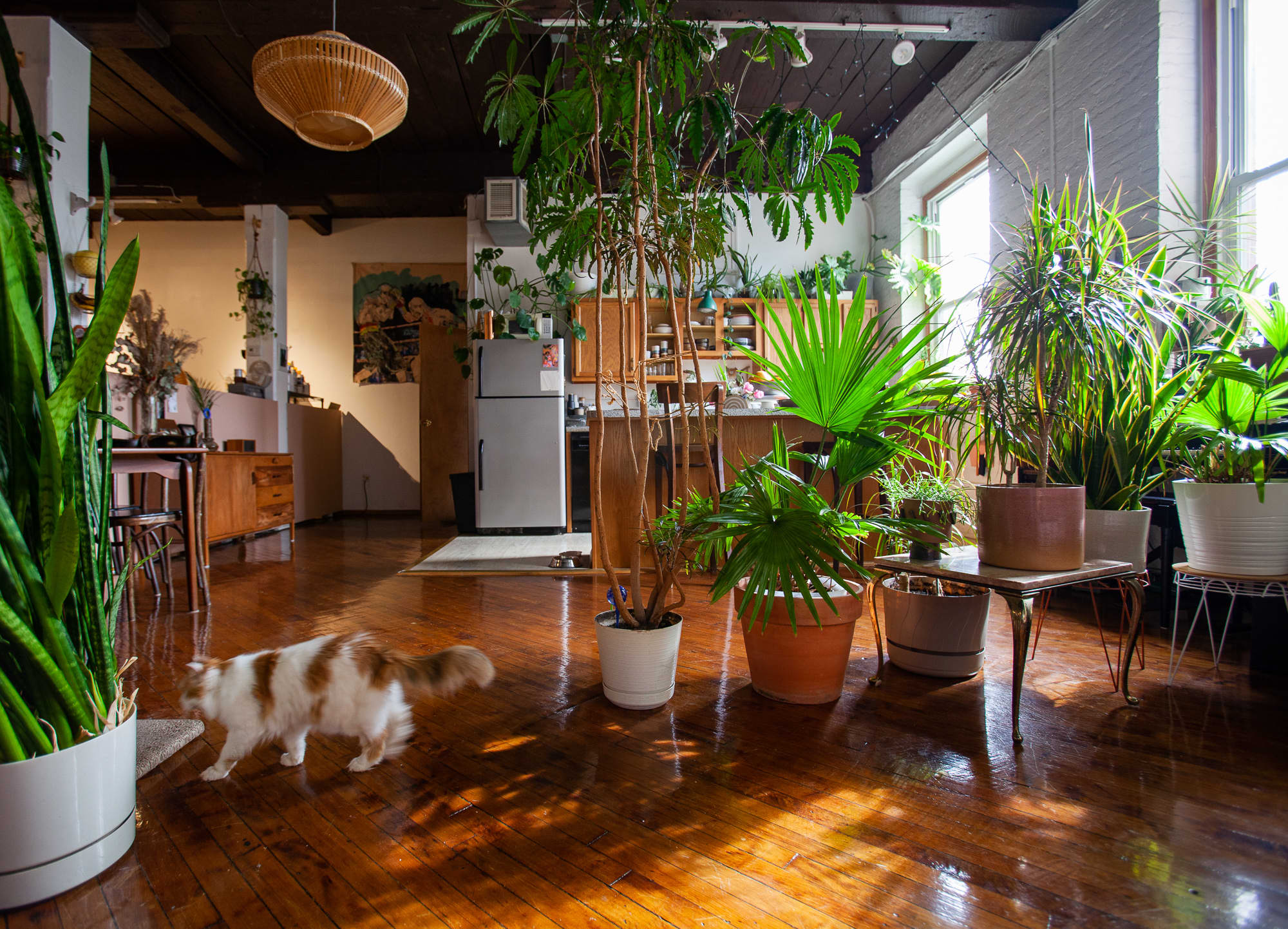 Plant-Filled Loft Decor Ideas and Photos | Apartment Therapy