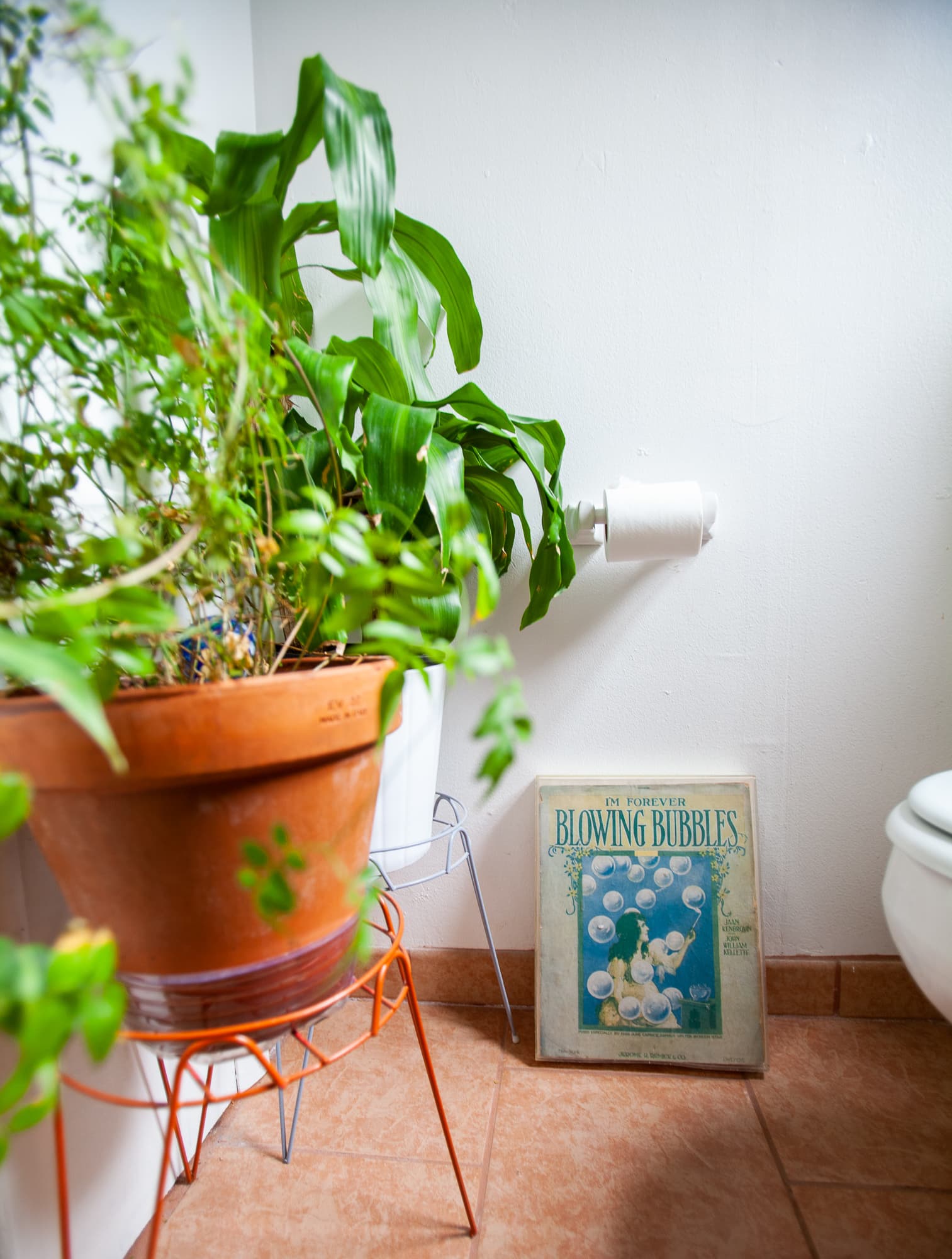 Plant-Filled Loft Decor Ideas and Photos | Apartment Therapy