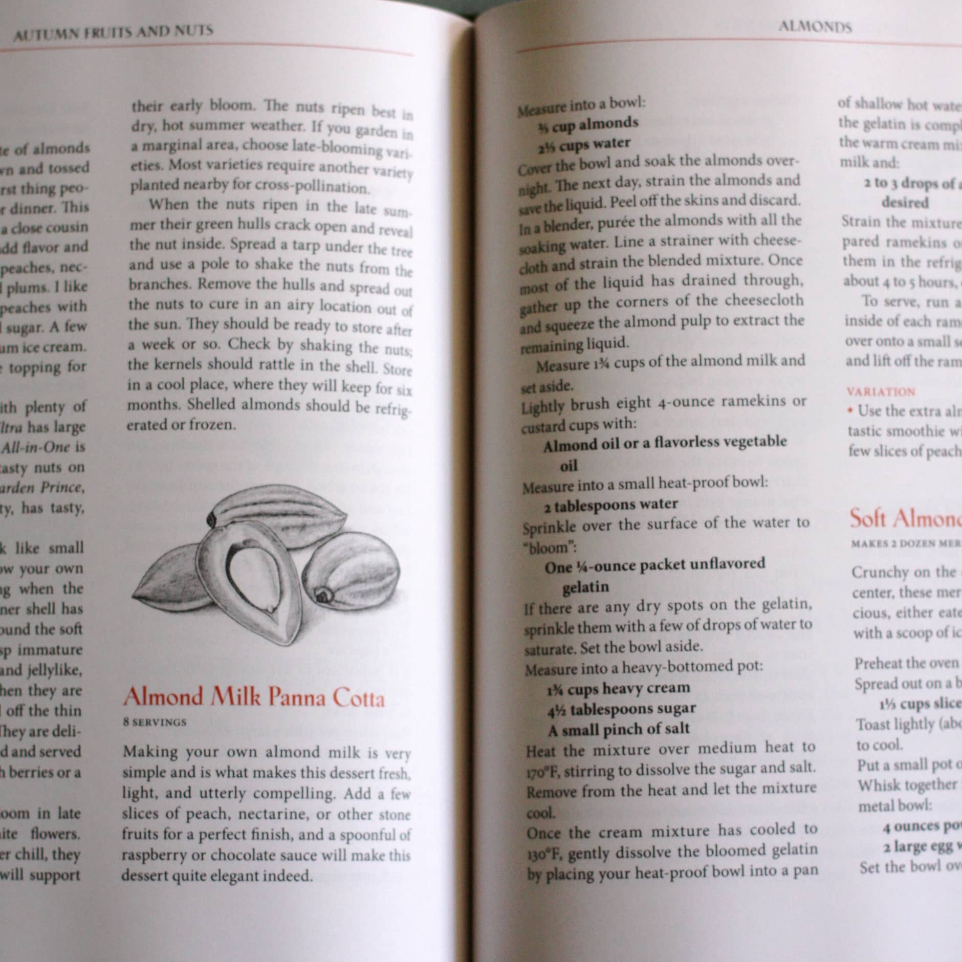 The Art of Simple Food II by Alice Waters | Kitchn