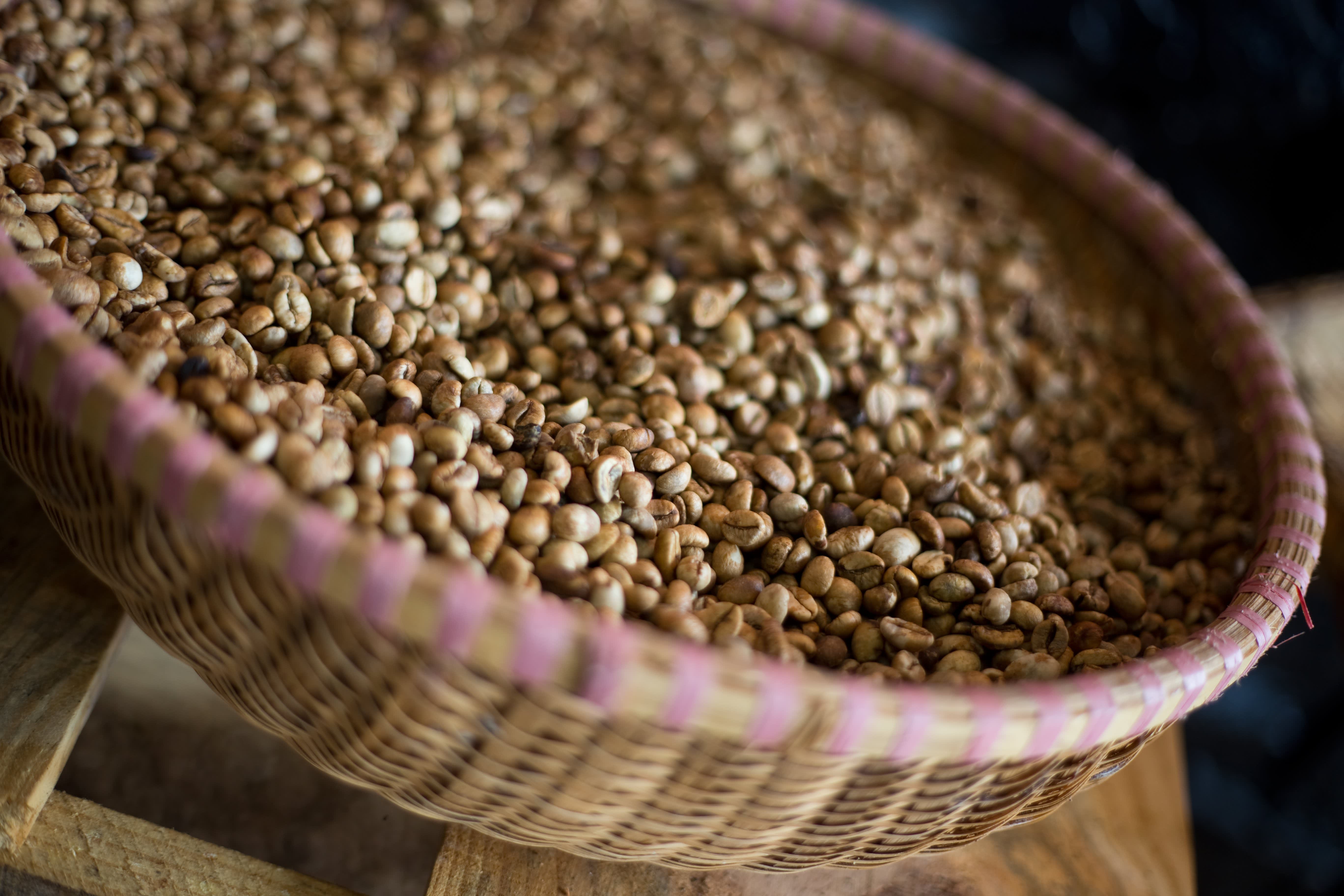 How Coffee Is Grown at the Me Linh Coffee Garden in Vietnam | Kitchn