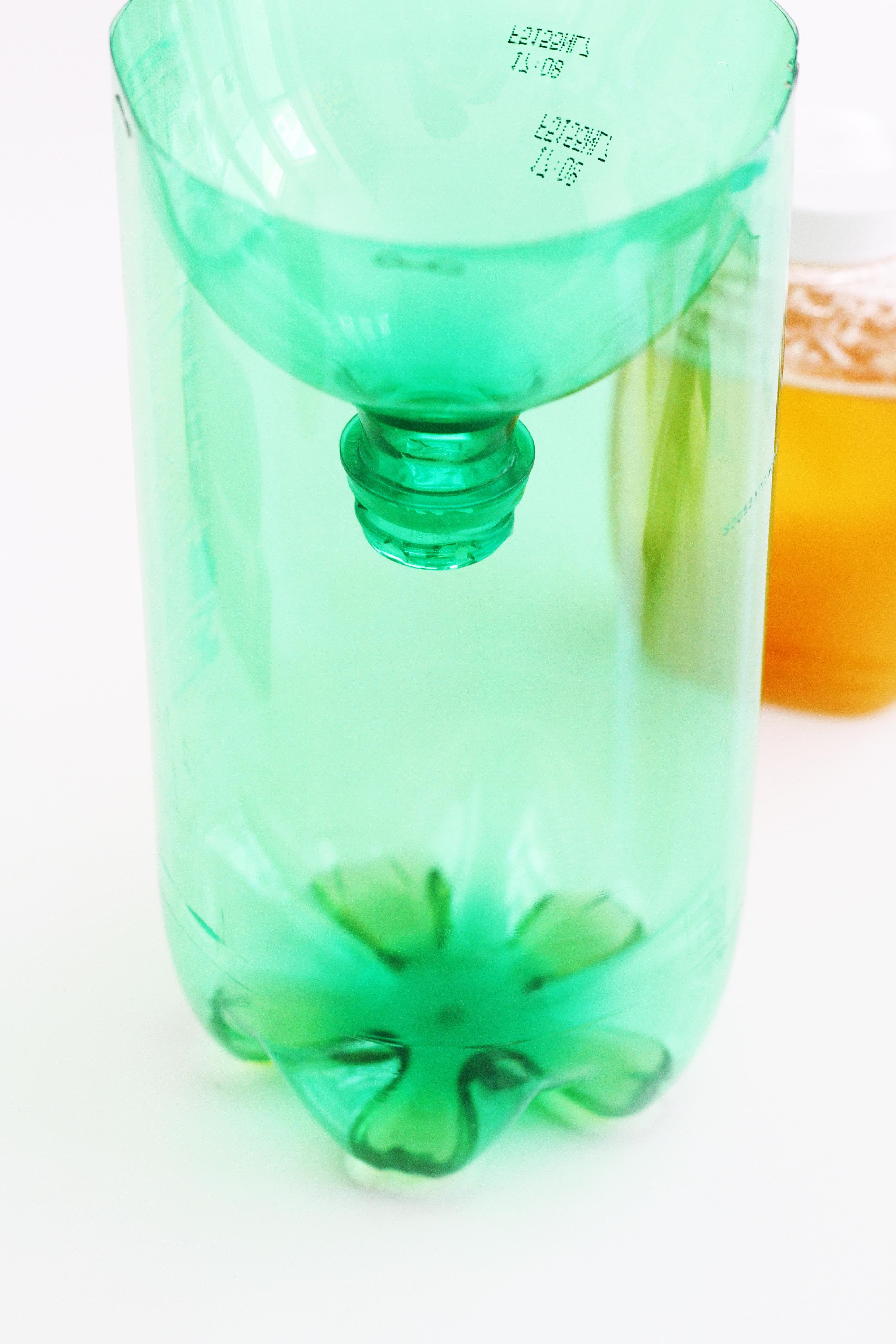 How To Make Soda Bottle Wasp Trap Apartment Therapy