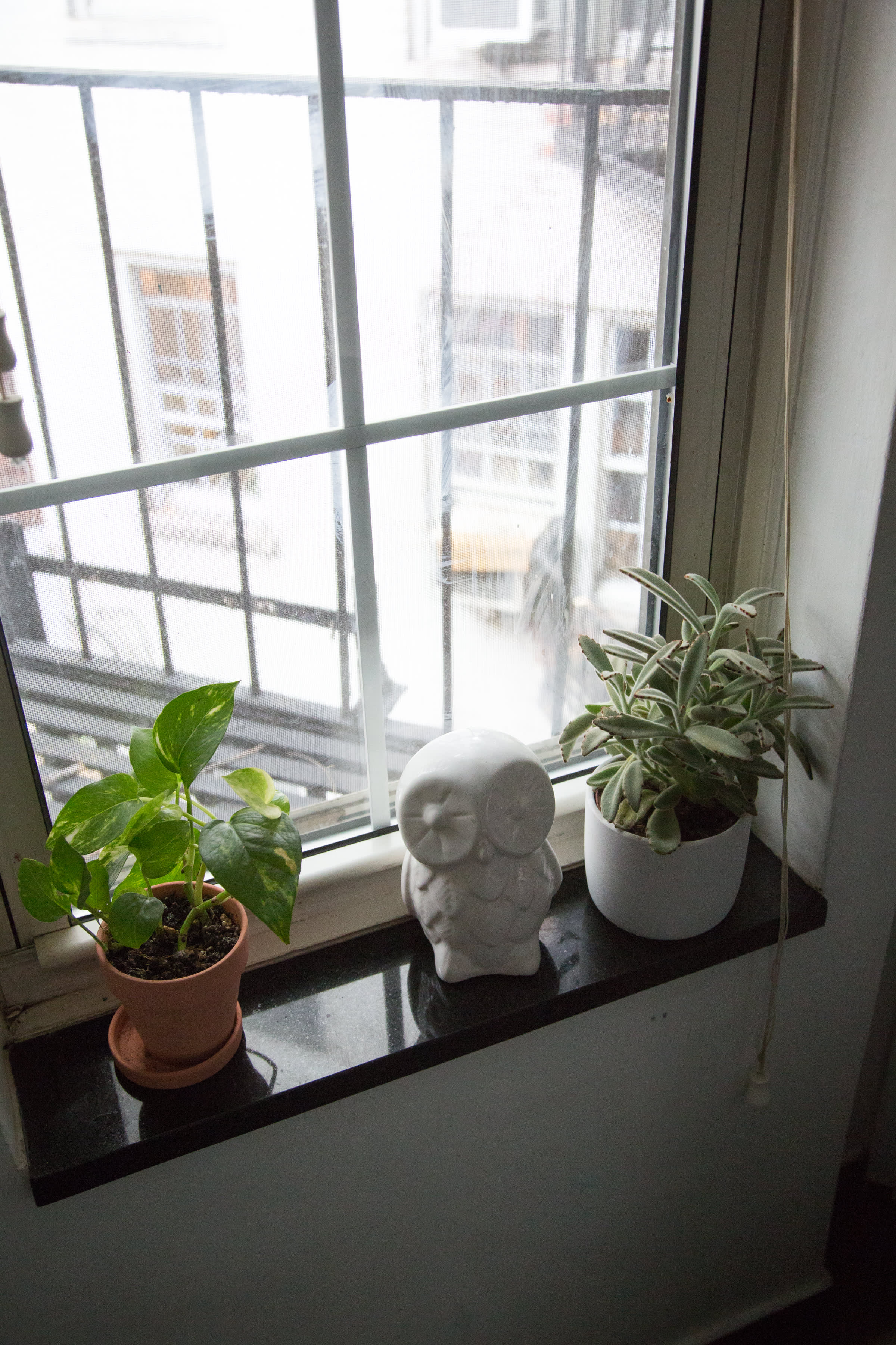 House Tour: A Colorful 450 Square Foot NYC Studio | Apartment Therapy