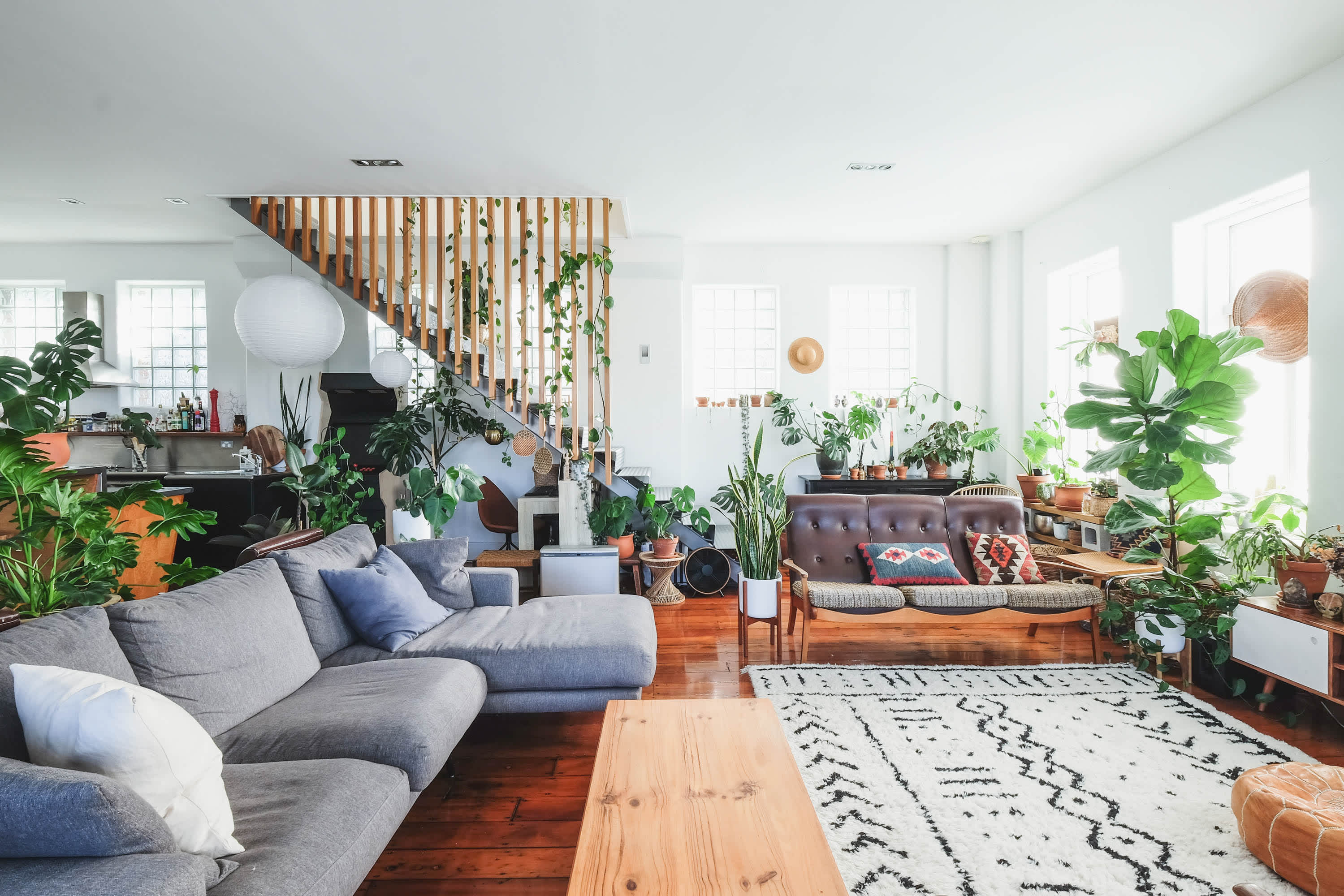 Plant-Filled New Zealand Vintage Loft Home Tour | Apartment Therapy