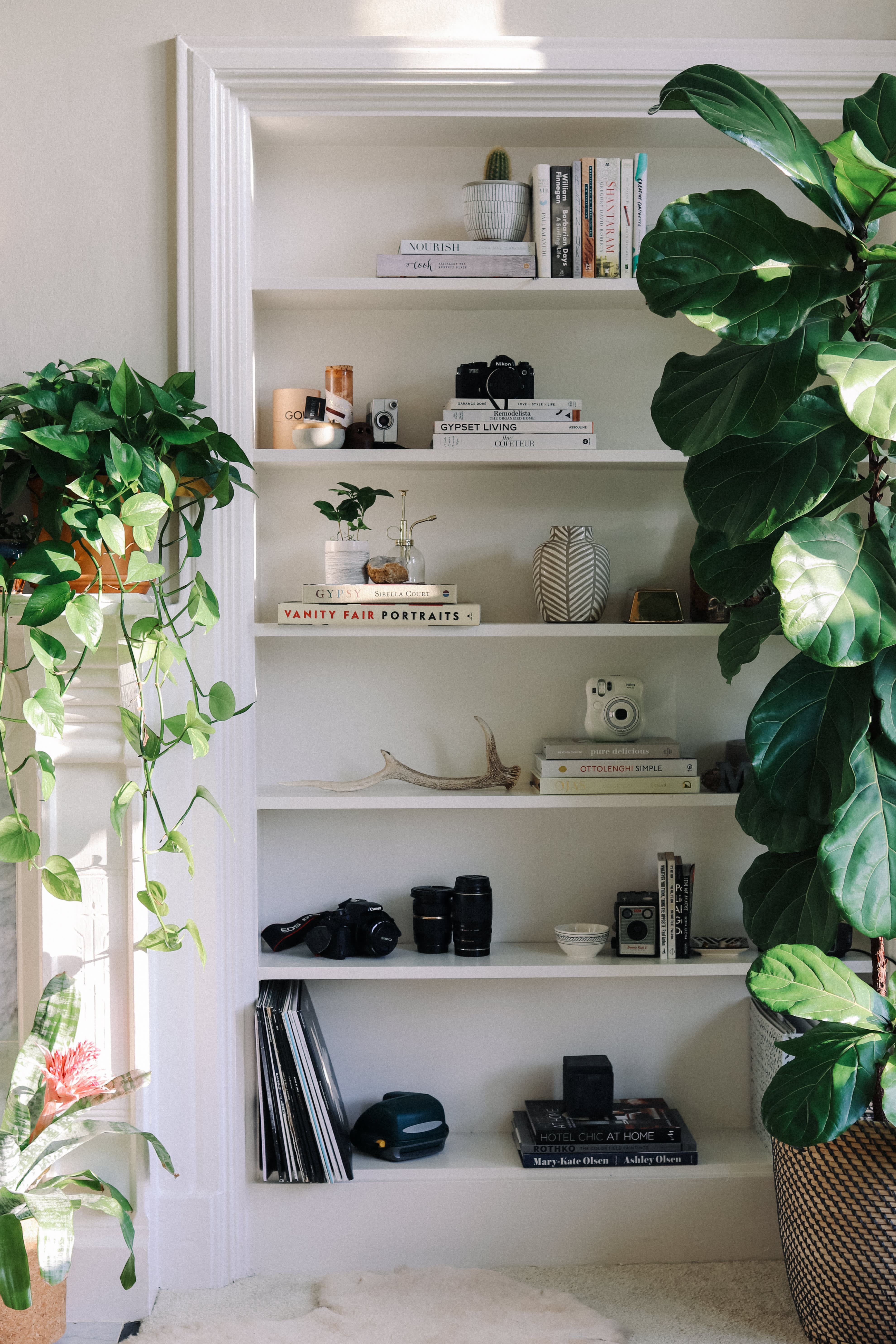 Plant Filled Simple Chic Studio Apartment Decor Photos | Apartment Therapy