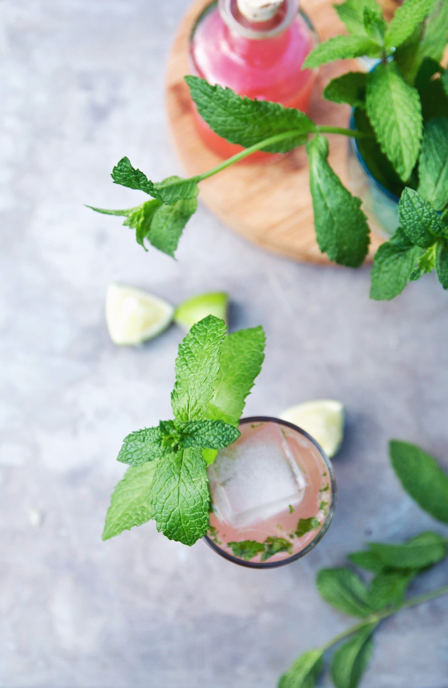 Everything You Need to Know About Growing Mint | Kitchn
