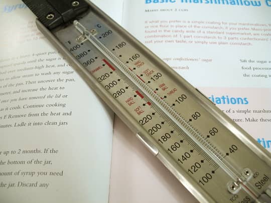 4 Important Tips for Using Cooking Thermometers | Kitchn