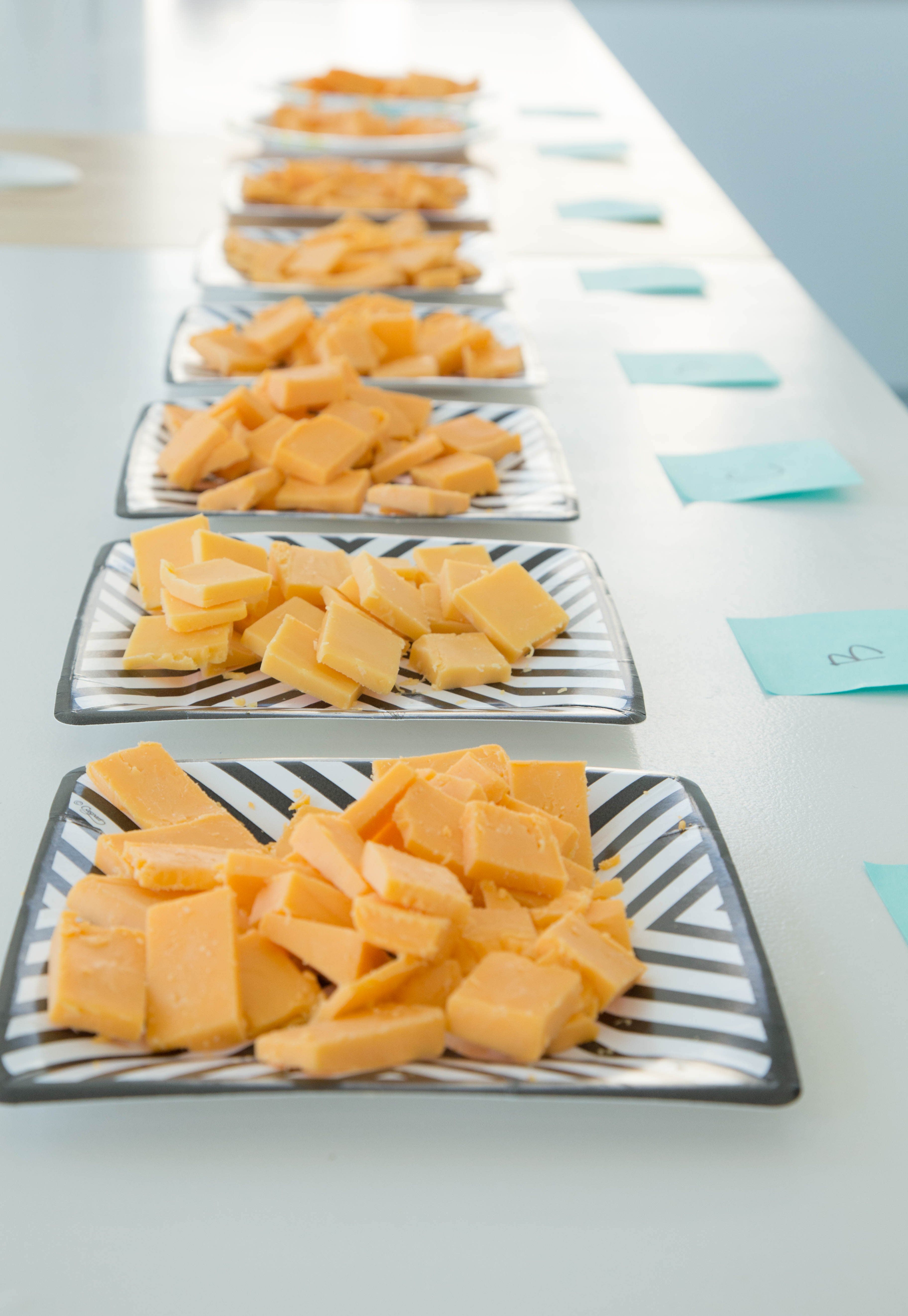 The Cheddar Cheese Taste Test: We Tried 8 Brands and Here’s Our ...