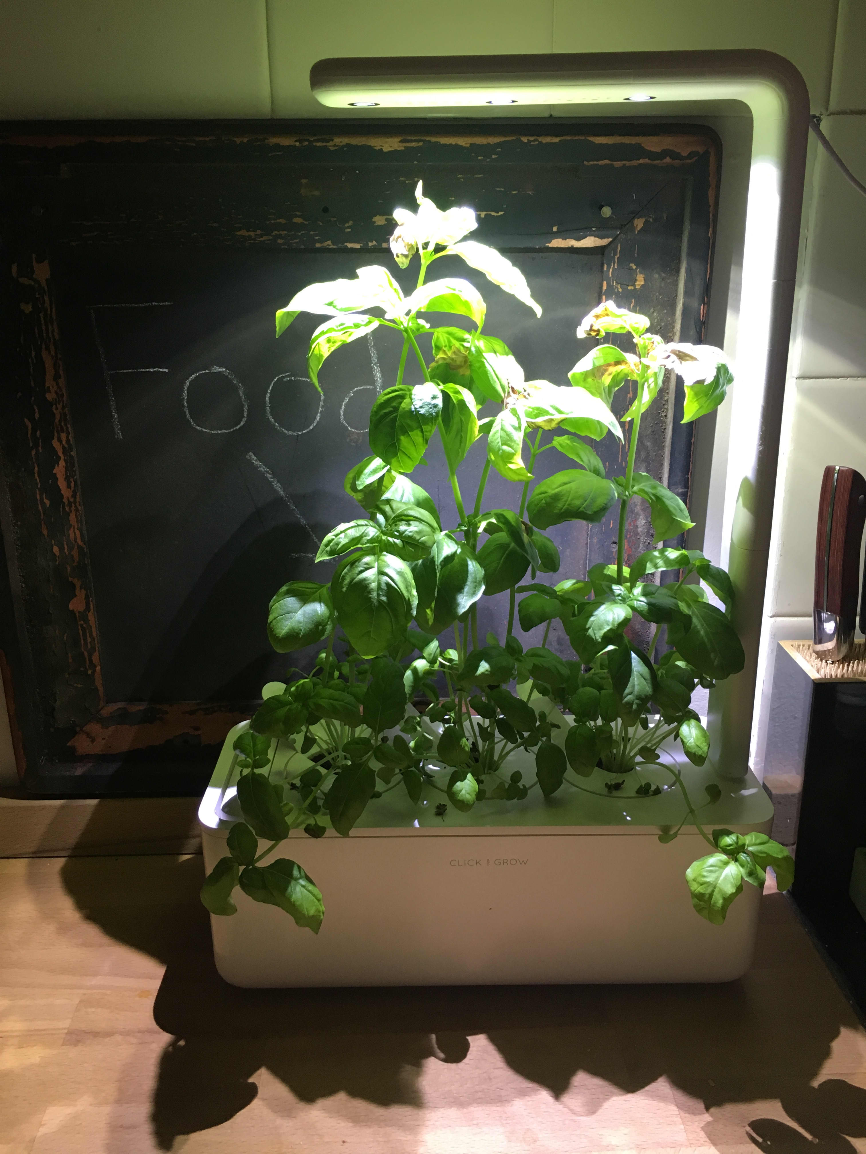 Does the Click and Grow Garden System Actually Work? | Kitchn