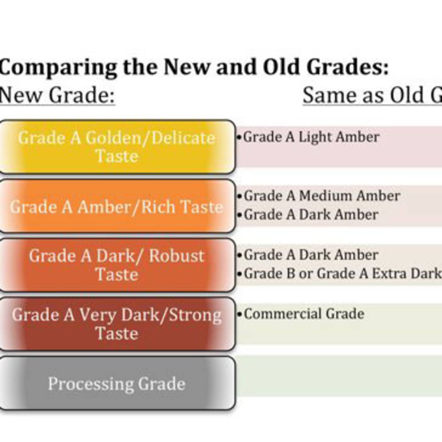 Maple Syrup Grades Chart - Ponasa