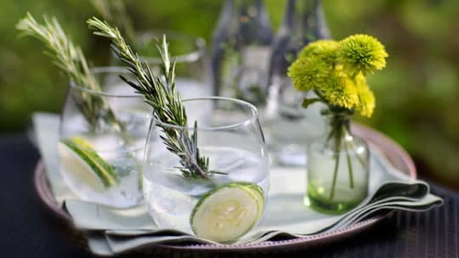 Gin and Tonic Season: Gin and Green Tomato Tonic – Garden & Gun ...