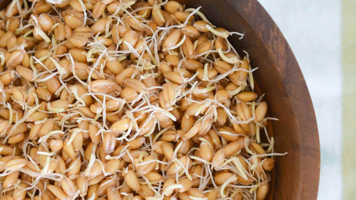 How To Make Sprouted Grains | Recipe Cart | Recipe Cart