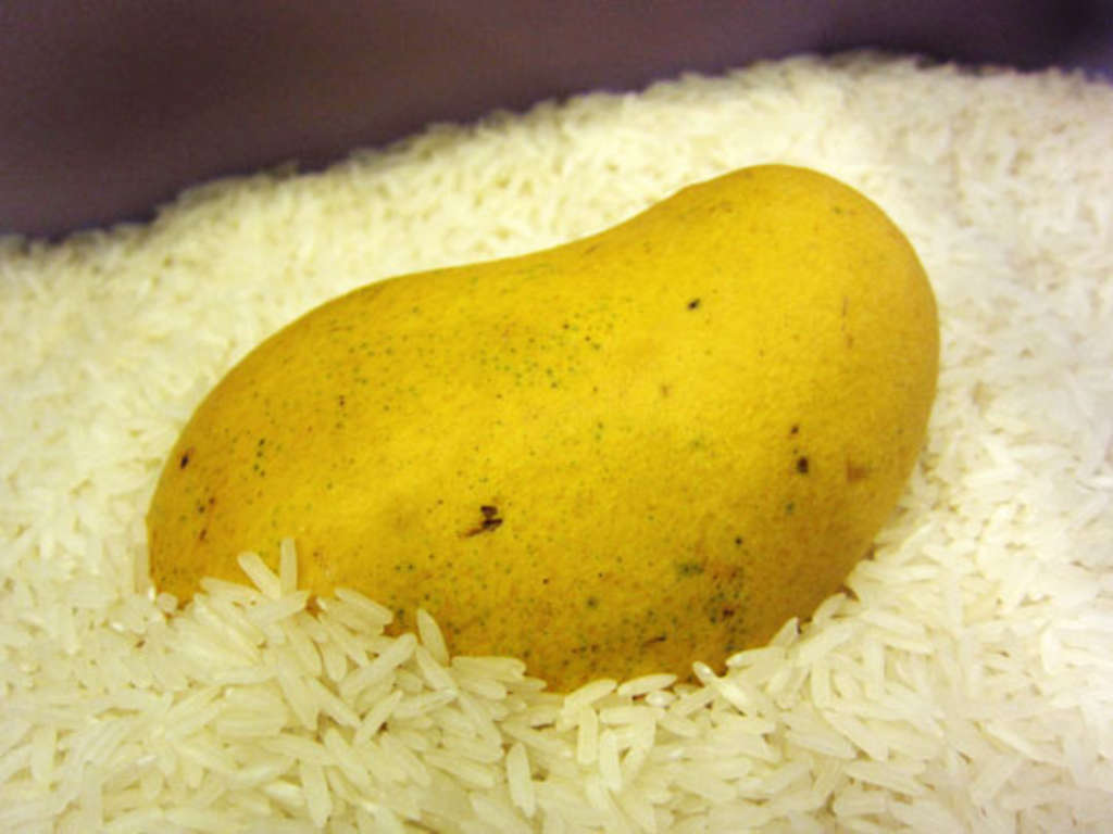 Mango In the Rice Bin: What's Going On Here? | Kitchn