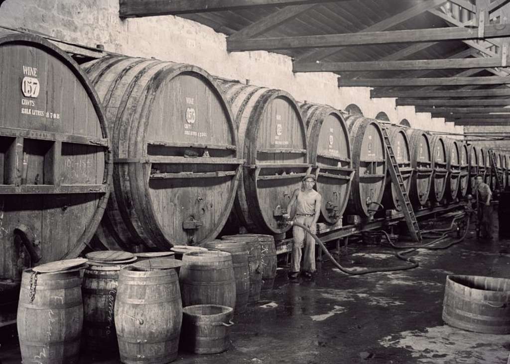 Fermentation Was Probably the First Great Moment in Food Science | Kitchn